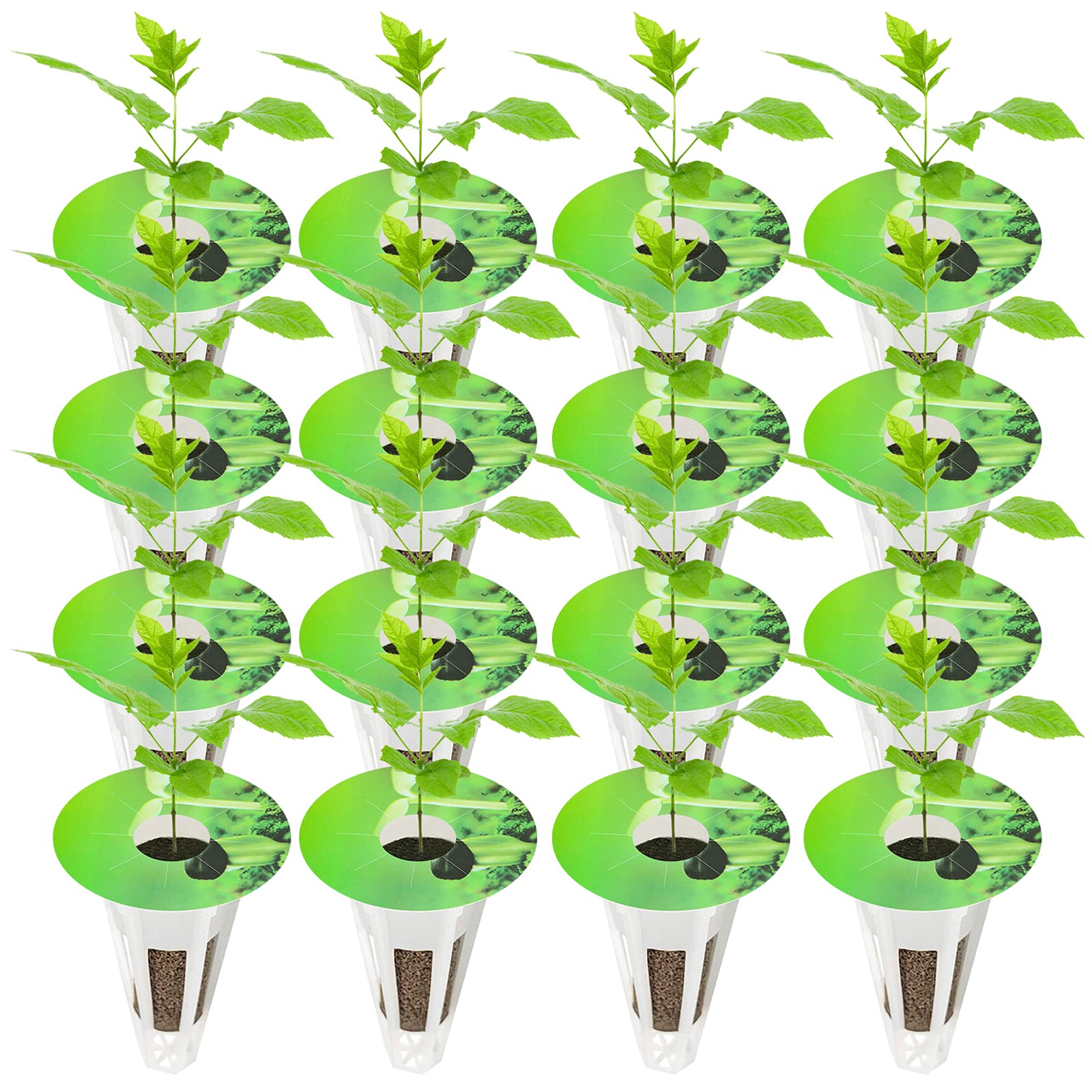 Buy PartyYeah 200 Pieces Seed Pot Labels, PVC Seed Pot Labels Sticker ...