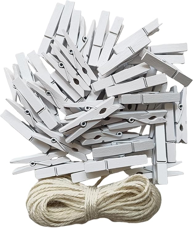 Amazon.com: 1.9 Inch White Small Clothes Pins Paper Picture School Work ...