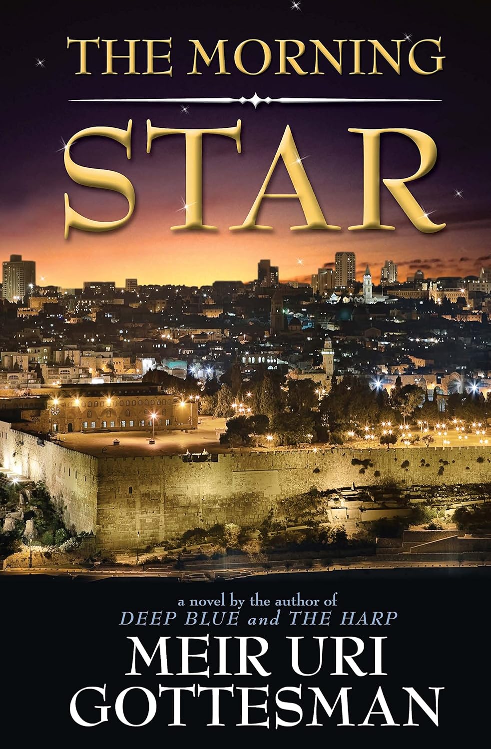 The Morning Star : Gottesman, Meir Uri: Amazon.in: Books