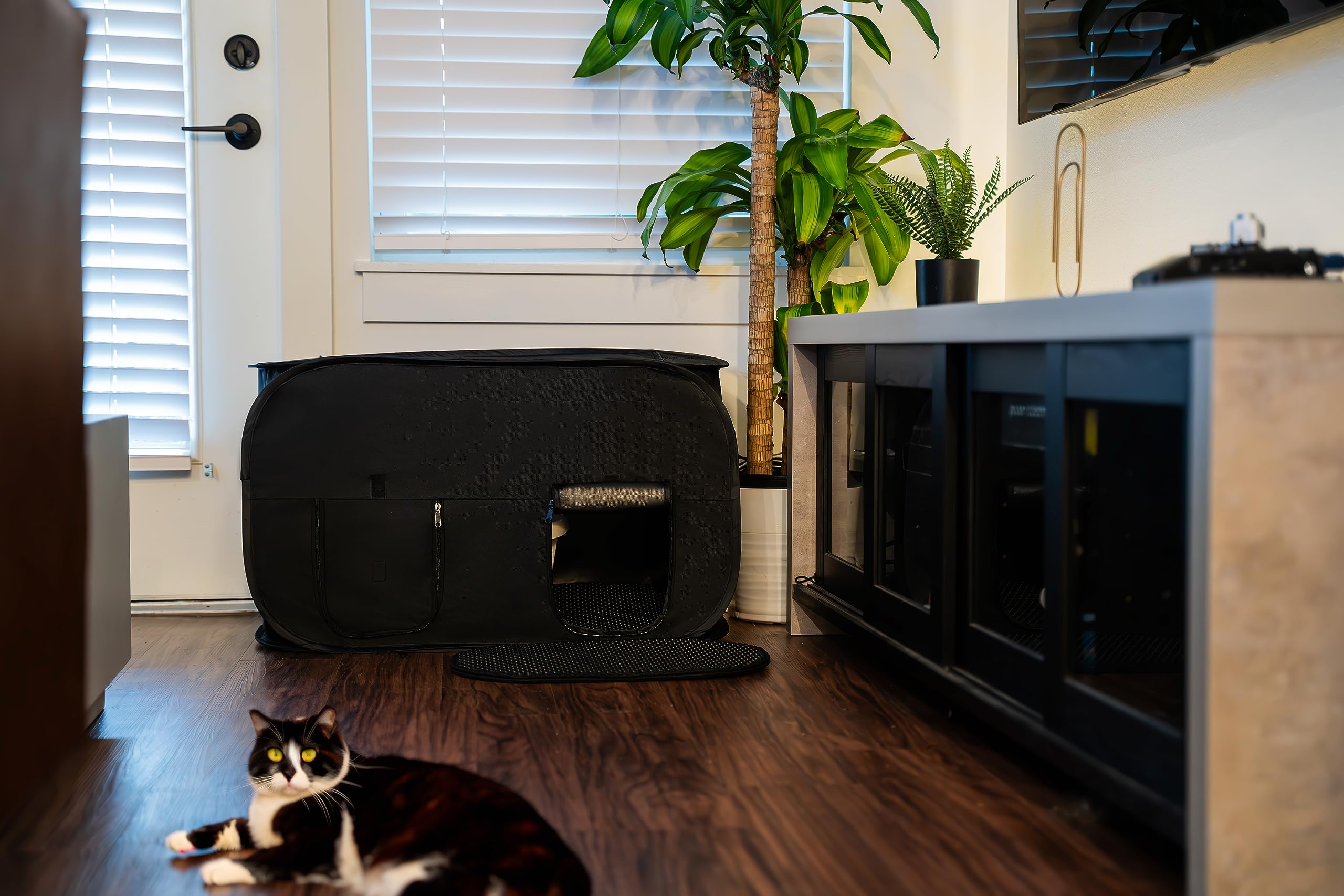 Pexter Cat Litter Box Enclosure, Discreet and Hidden Litter Box, Kitty ...