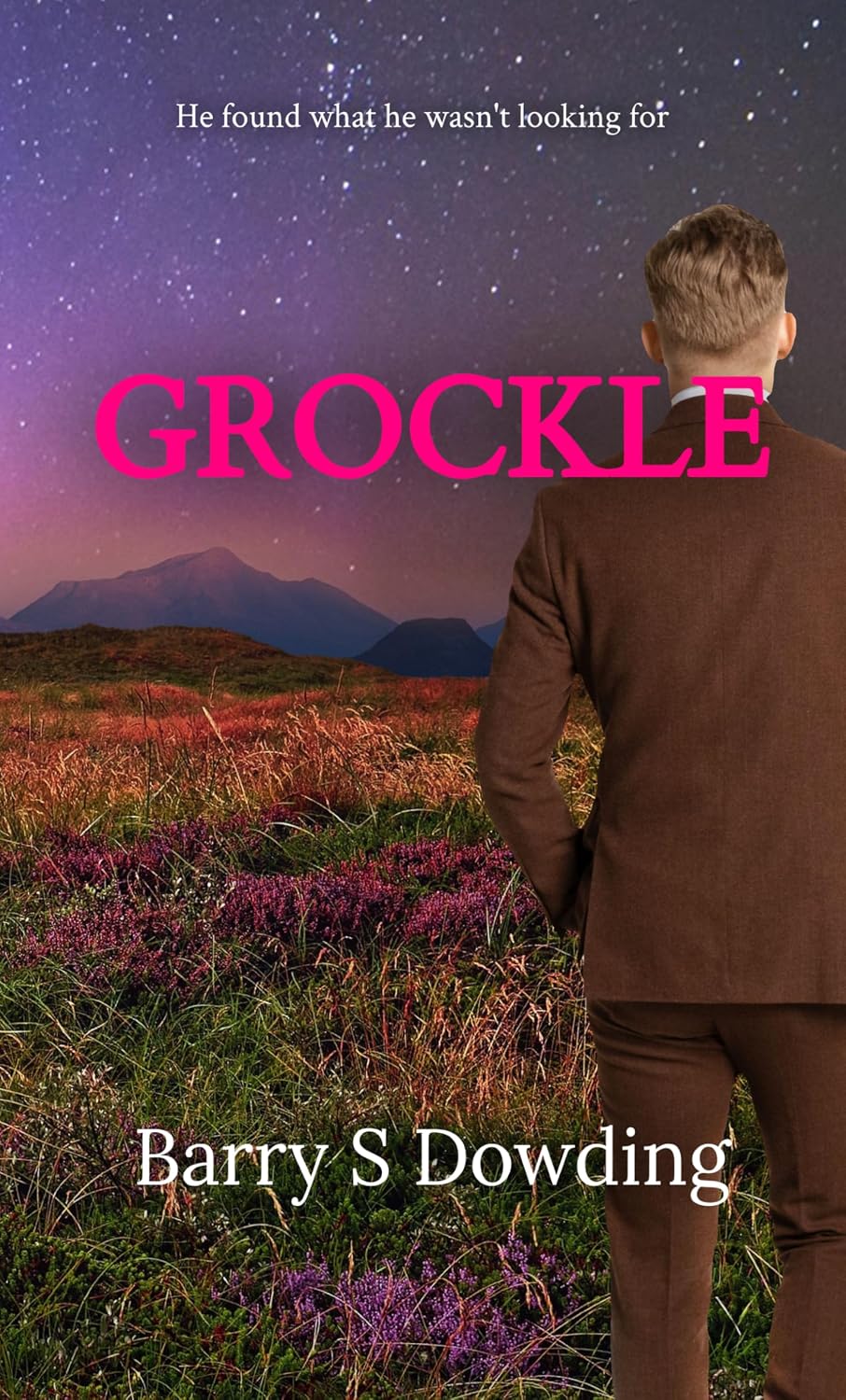 Grockle eBook : Dowding, Barry S: Amazon.co.uk: Kindle Store