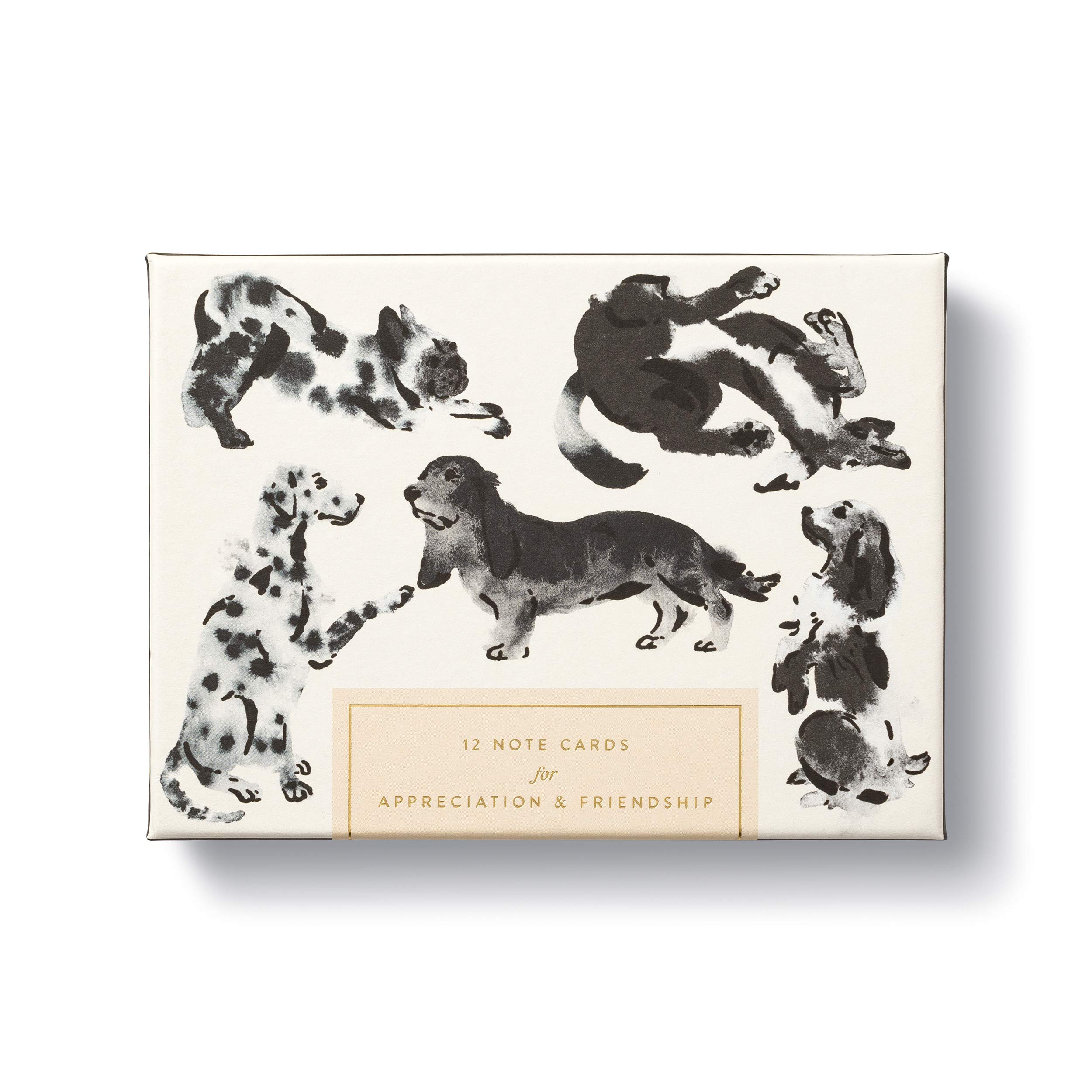 Snapklik.com : Compendium Cards