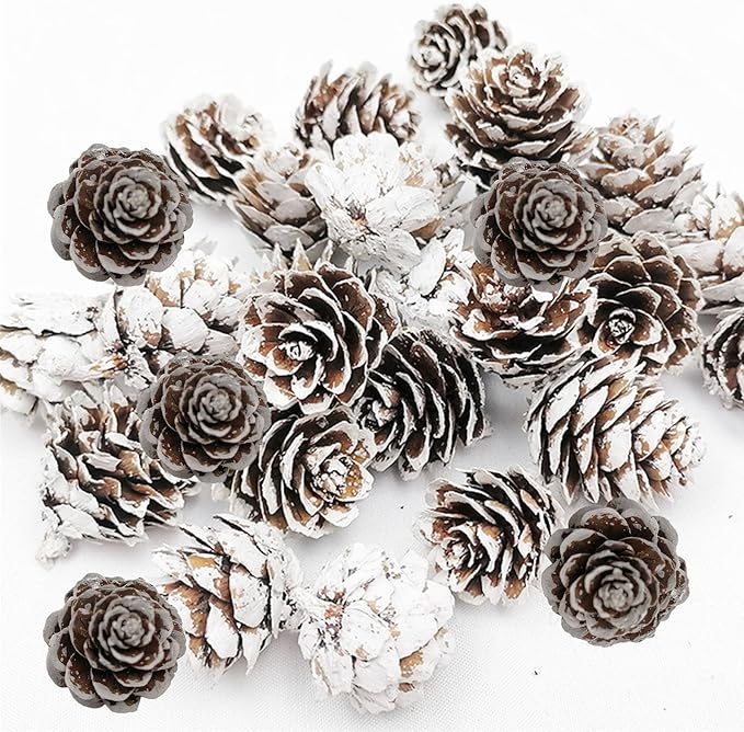 Amazon.com: fypuda 160 PCS Mini Snow Pine Cones Christmas Thanksgiving ...