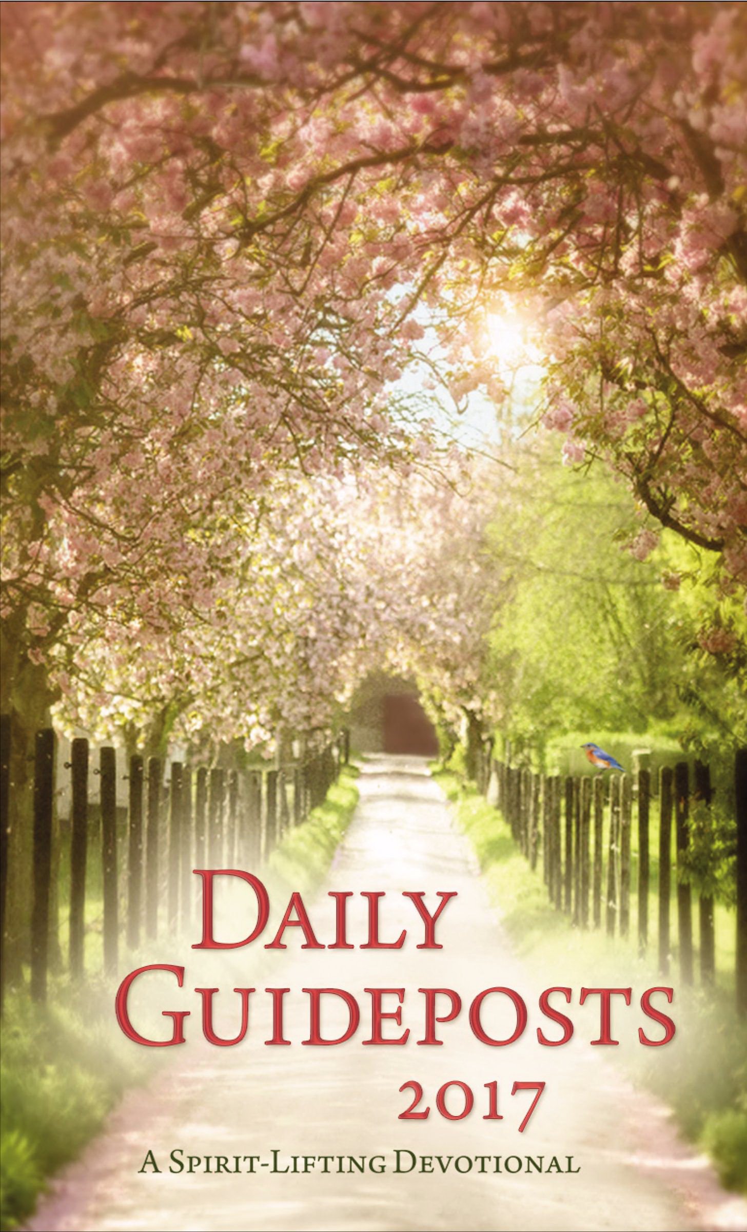 Daily Guideposts 2017: A Spirit-Lifting Devotional: Guideposts ...