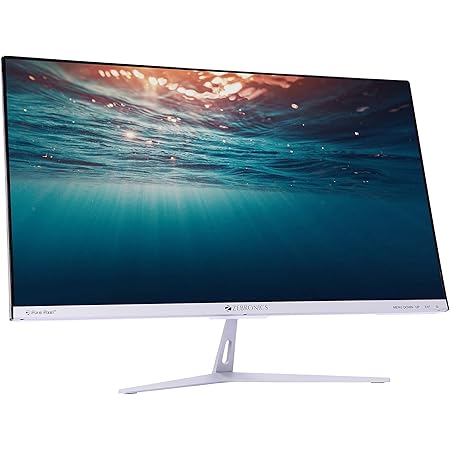 (Renewed) Zebronics 23.8inch (60.4cm) LED Monitor (White) : Amazon.in ...