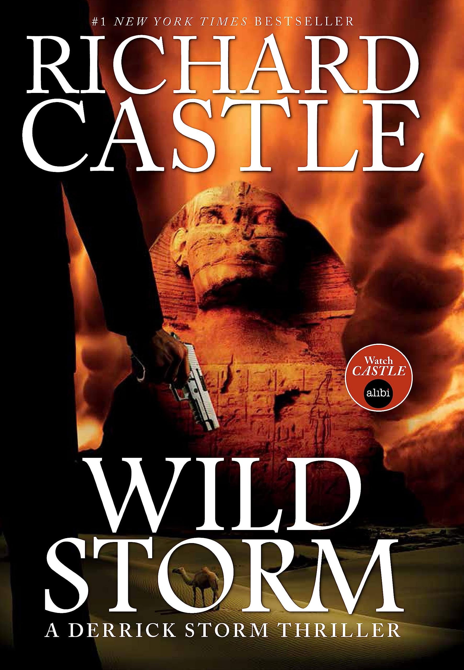Wild Storm: A Derrick Storm Novel: RICHARD CASTLE: 9781783294305 ...