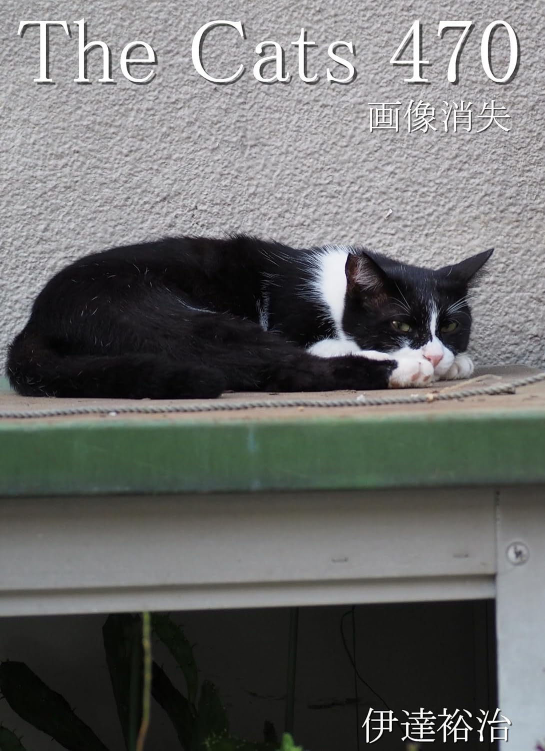 The Cats 470 (Japanese Edition) - Kindle edition by Date Yuji. Crafts ...