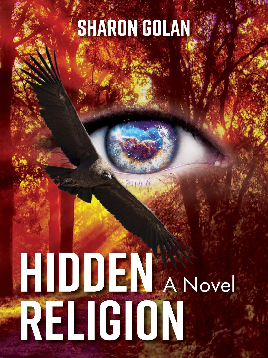 Hidden Religion – A Mystical Novel - Kindle edition by Golan, Sharon ...