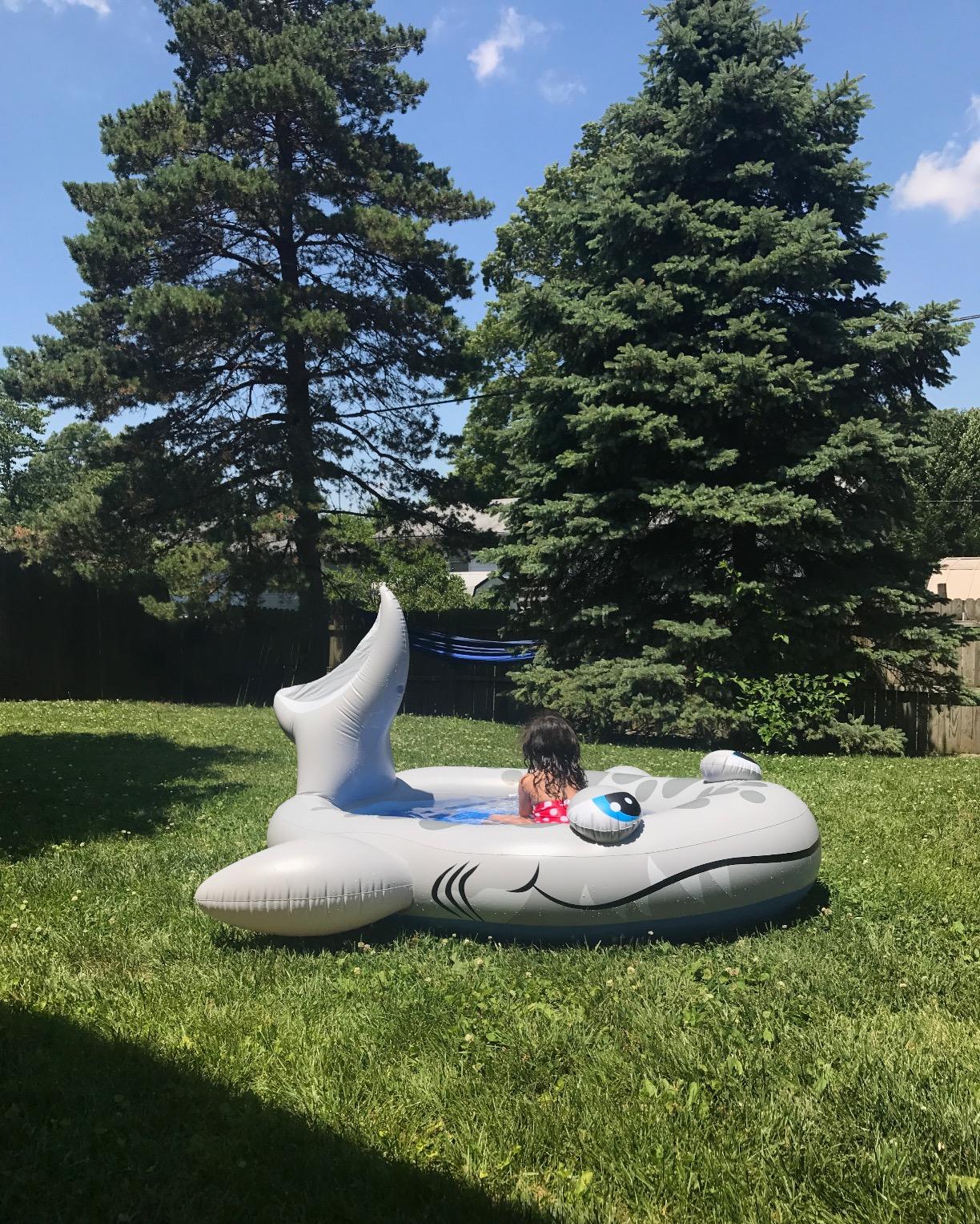 Amazon.com: Intex Sandy Shark Spray Pool, 90" X 89" X 42", for Ages 2 ...