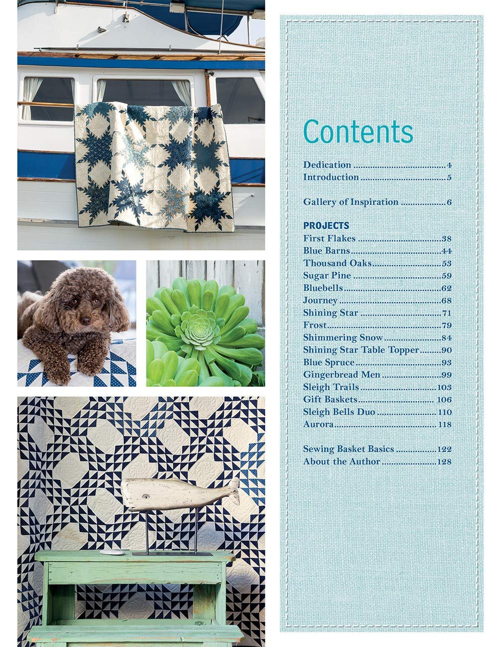 Snapklik.com : Patches Of Blue: 17 Quilt Patterns And A Gallery Of ...