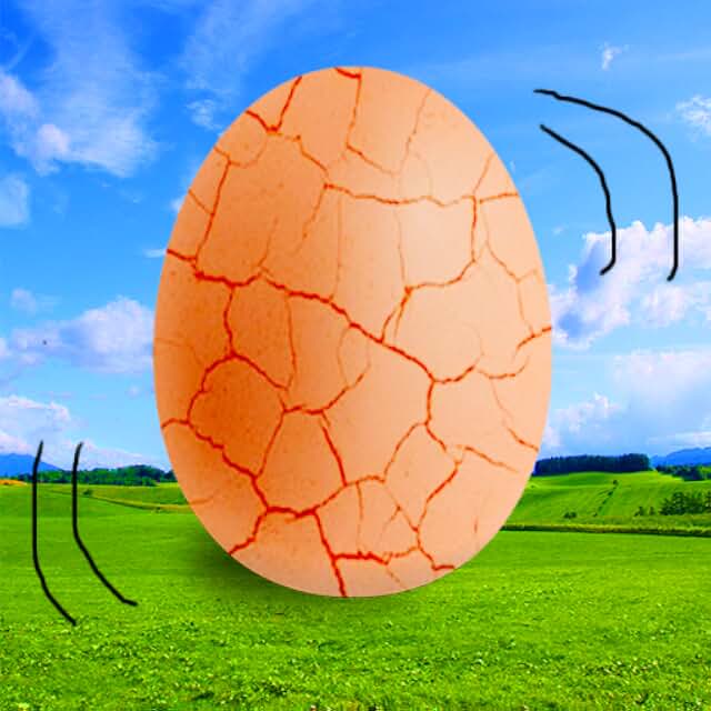 Amazon.com: shaking eggs