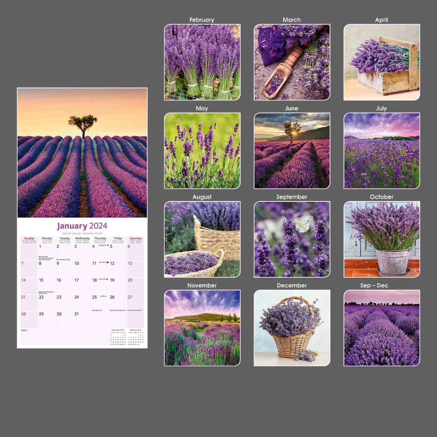 Snapklik.com : 2023 2024 Lavender Calendar - Monthly Wall Calendar - 12 ...