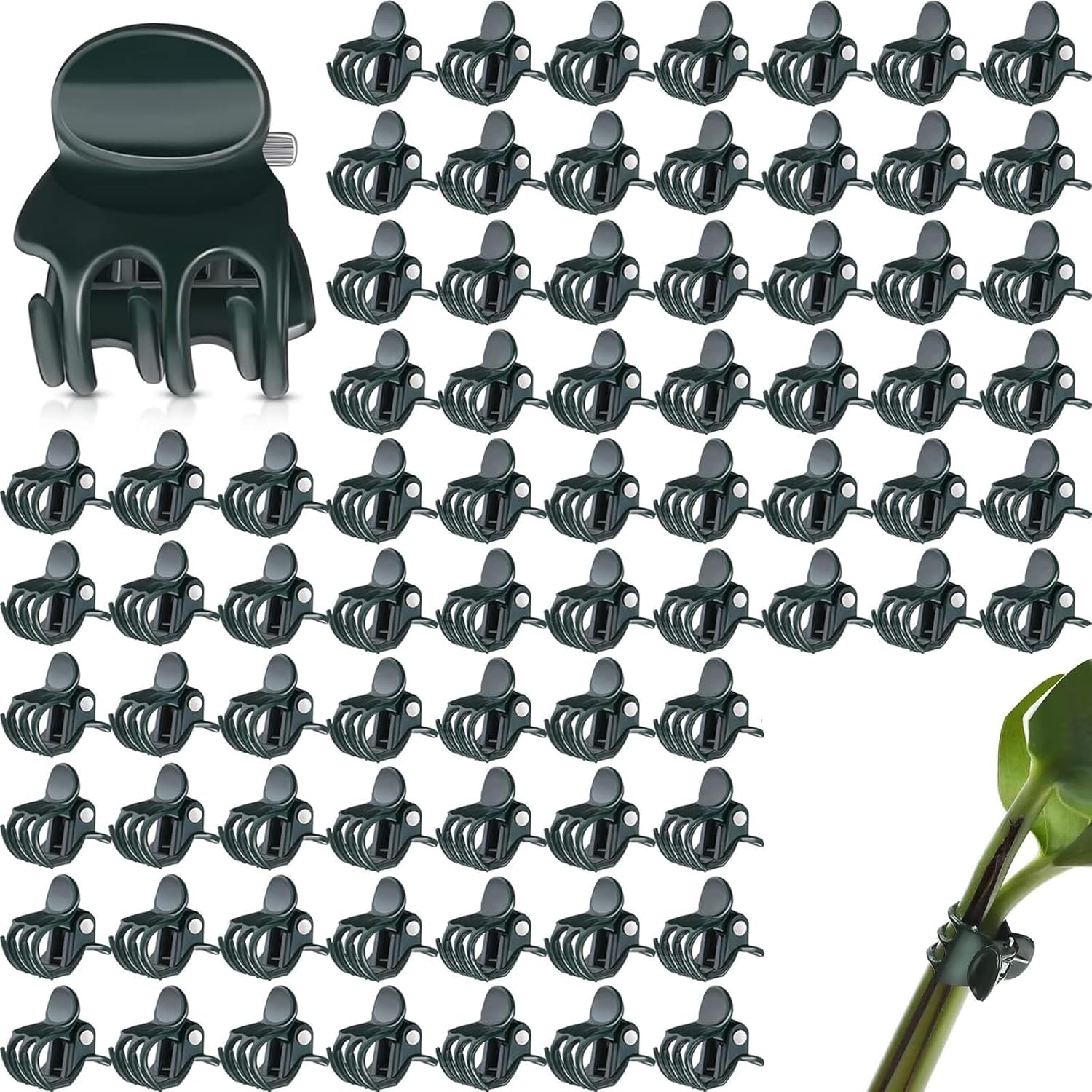 100 Pcs Plant Support Clips Plant Clips for Climbing Plants, Plant Wall ...