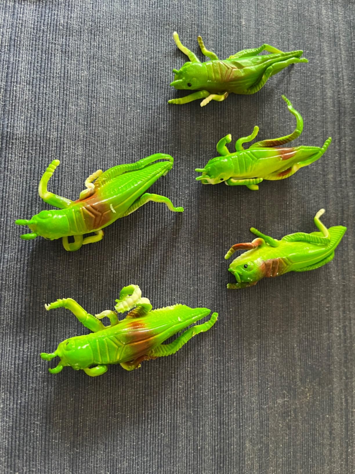 Amazon.com: STOBOK 10Pcs Plastic Grasshoppers Toys, Simulation ...