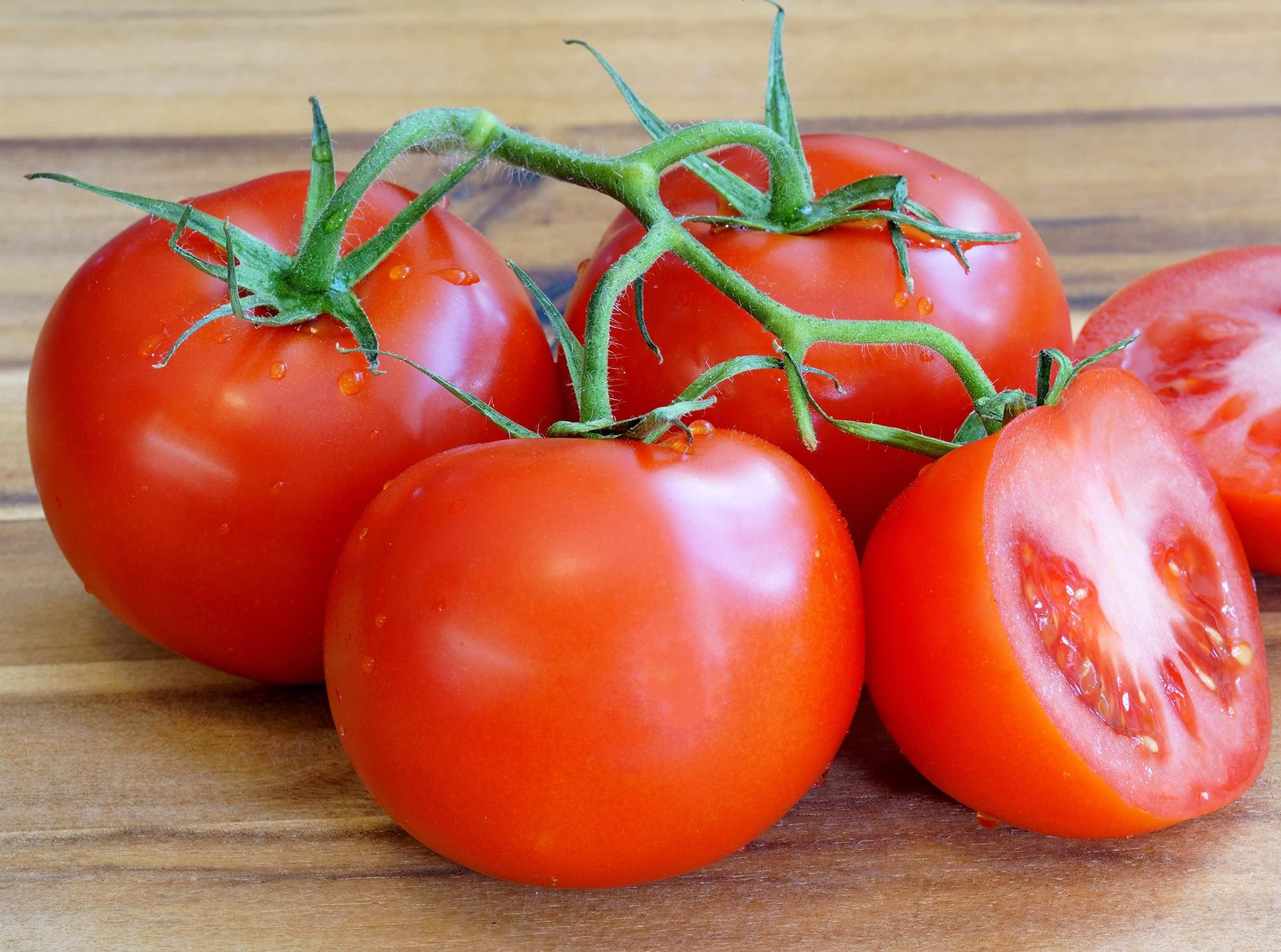 Amazon.com : Samen Schenker Tomatoes Seeds - 10 Tomato Seeds for ...