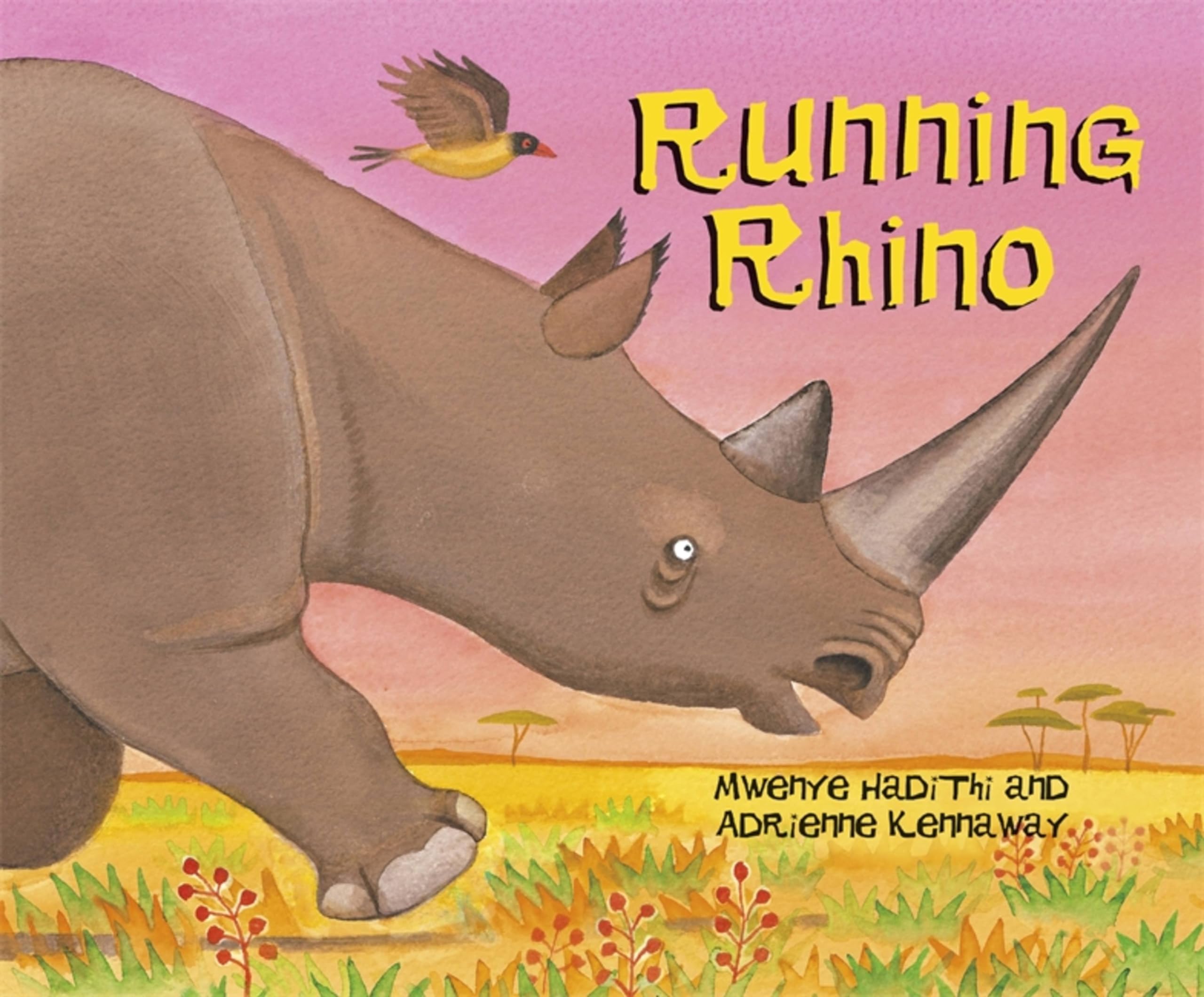 African Animal Tales: Running Rhino: Hadithi, Mwenye: 9780340989388 ...