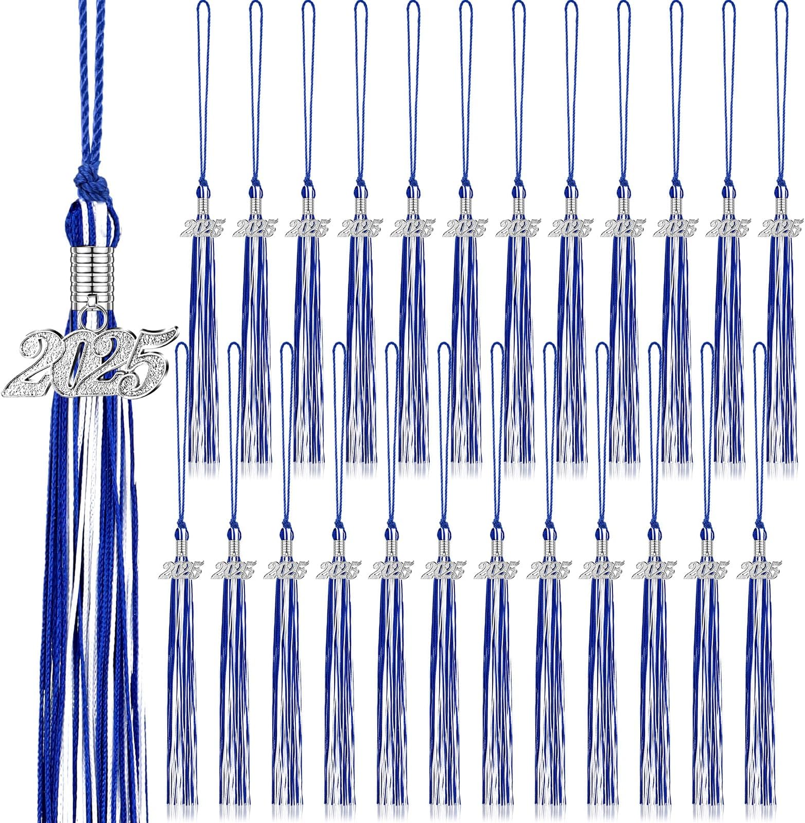 Amazon.com: Fahacop 25 Pack 2024 Graduation Tassel Single Color ...