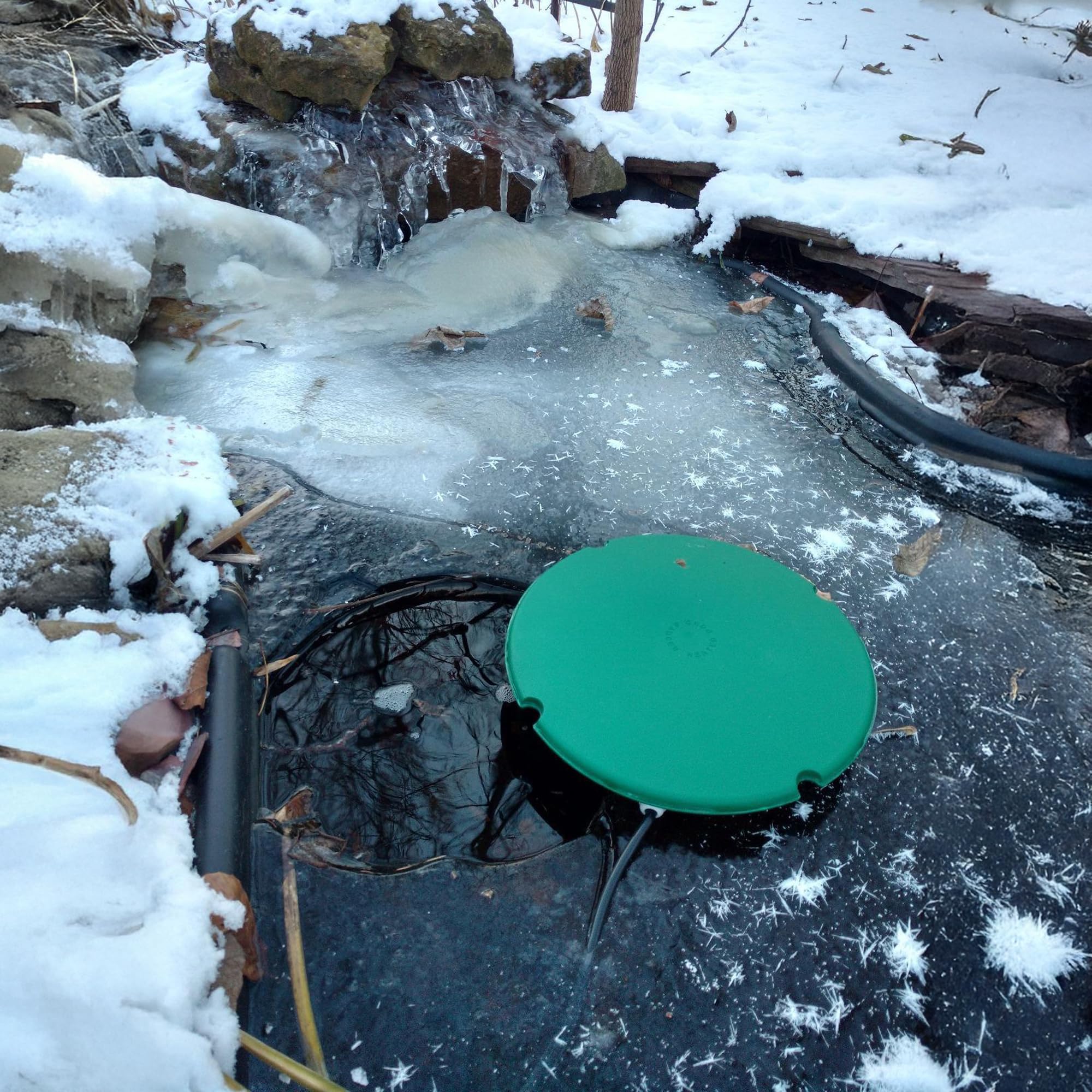 Snapklik.com : Farm Innovators Heated Pond Saucer, 200W Electric Heater ...