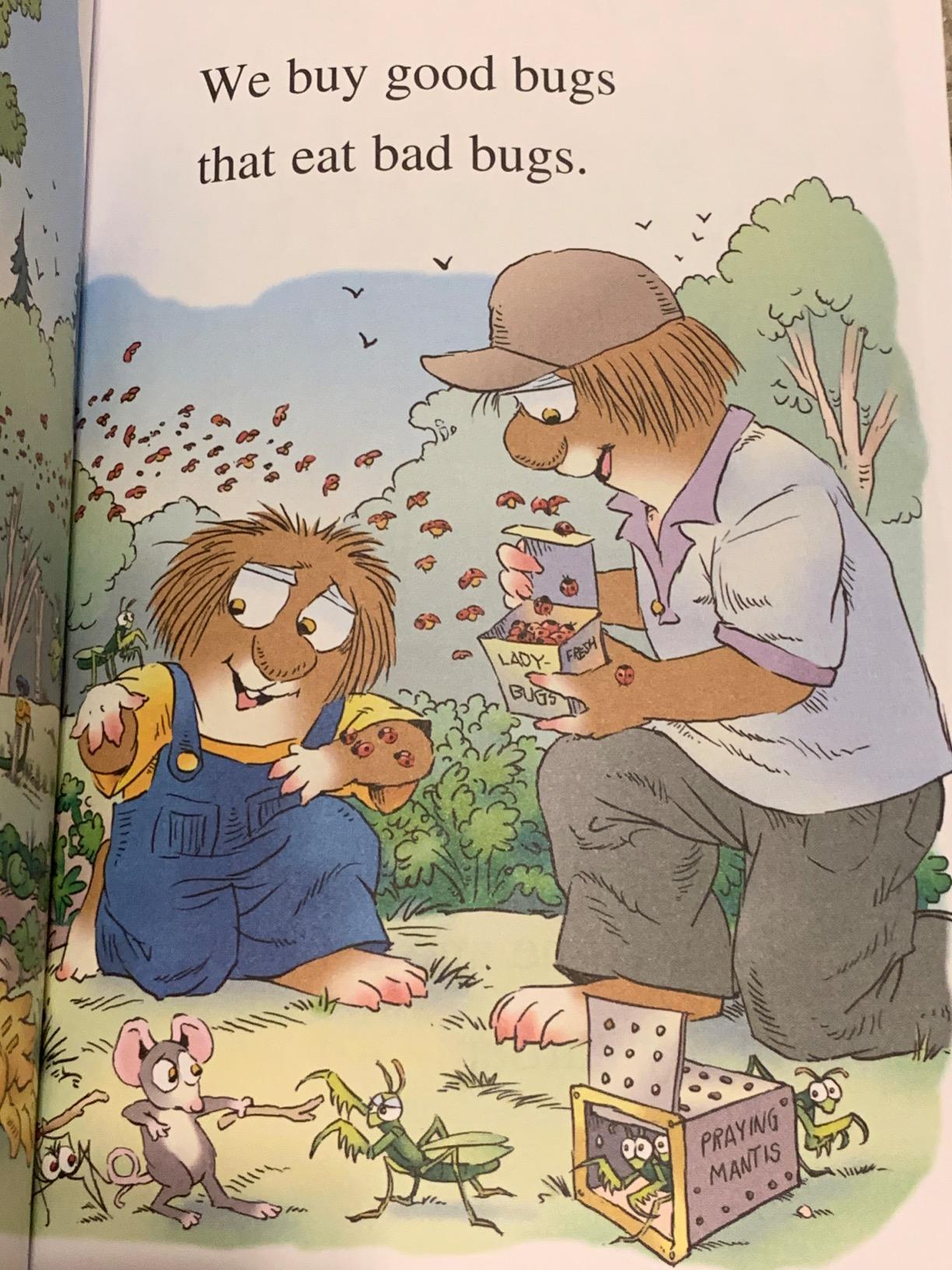 Amazon.com: Little Critter: A Green, Green Garden: A Springtime Book ...