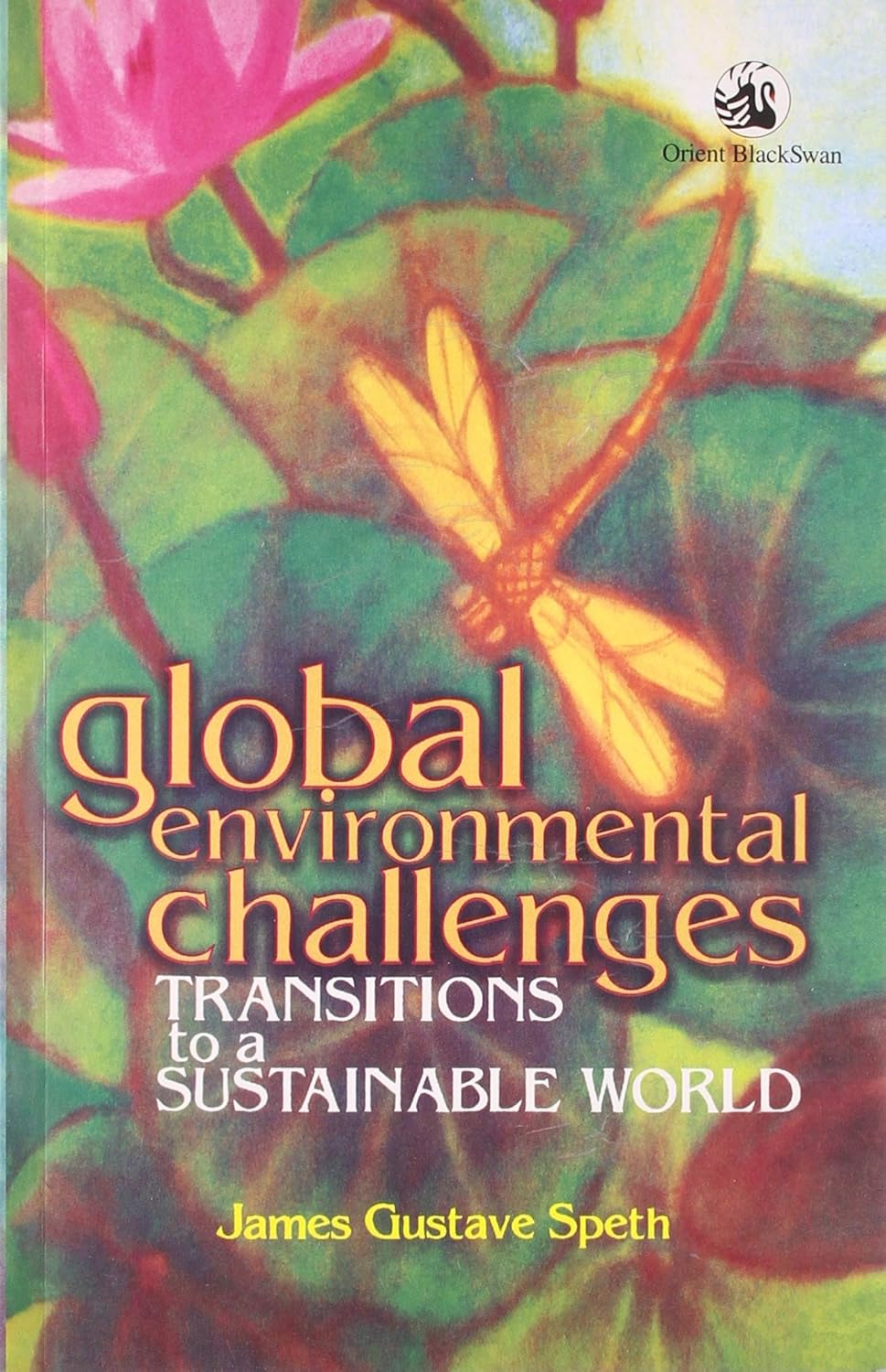 Global Environmental Challenges - Transitions to a Sustainable World ...