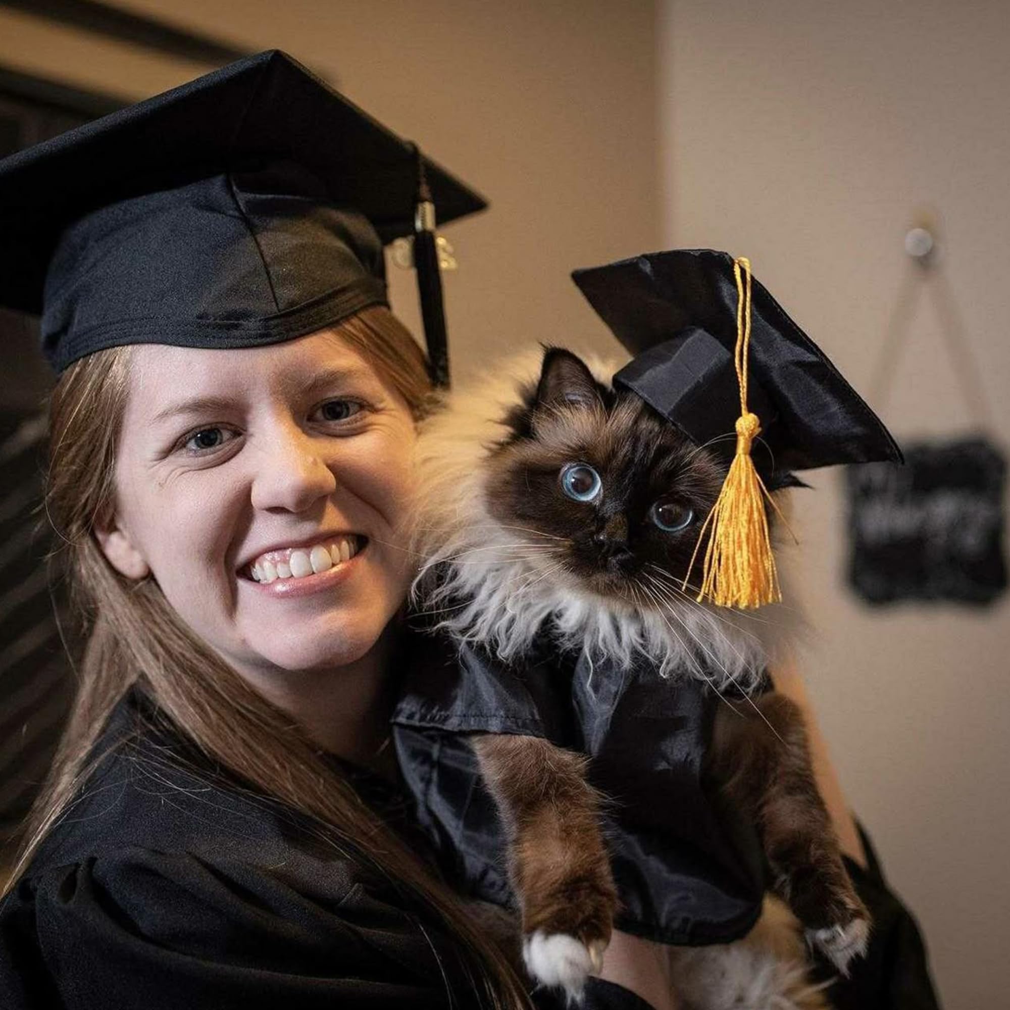 Snapklik.com : GraduatePro Dog Graduation Cap And Gown Costume Set ...