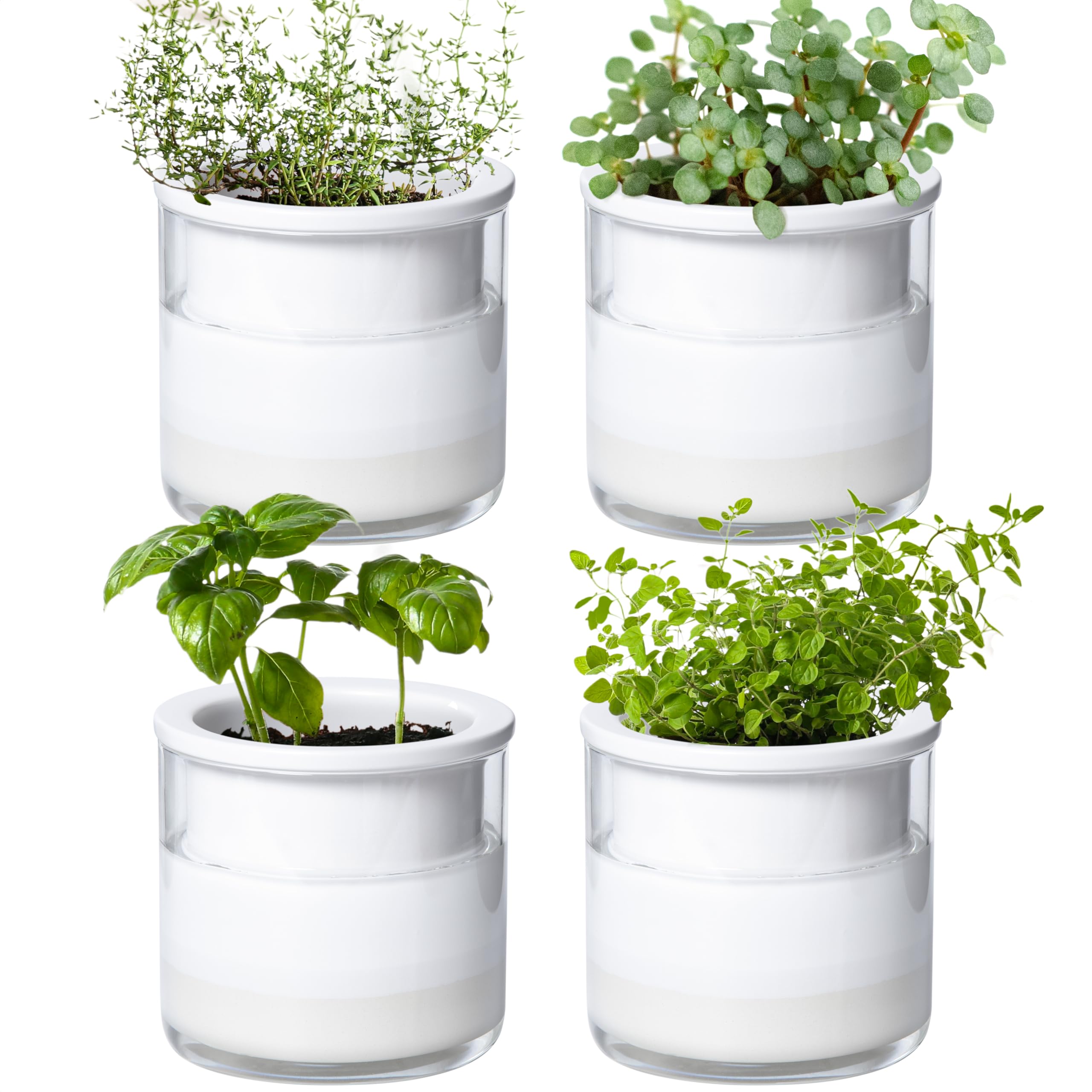 Amazon.com : Phoenix Vine 4 Inch Self Watering Planter Pot, Design ...