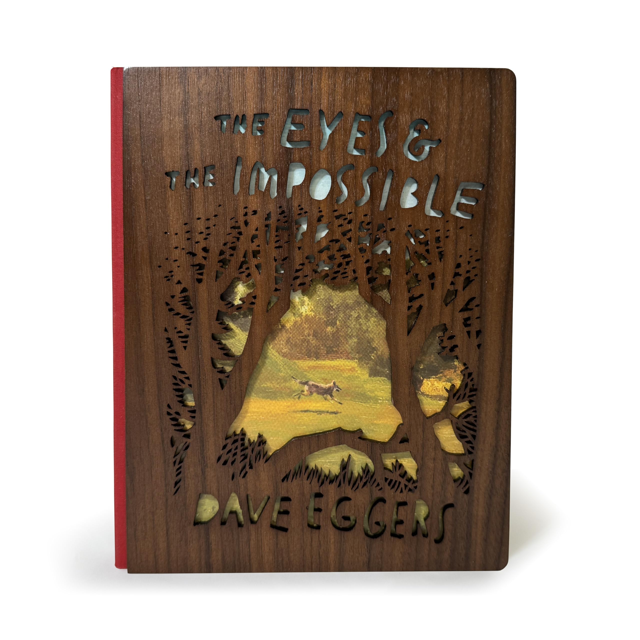 The Eyes and the Impossible: Amazon.co.uk: Eggers, Dave, Harris, Shawn ...