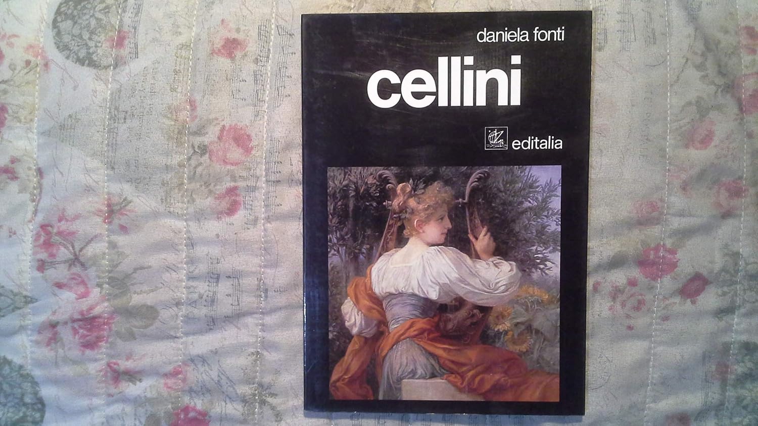Amazon.com: Cellini (Italian Edition): 9788870600025: Fonti, Daniela: Books