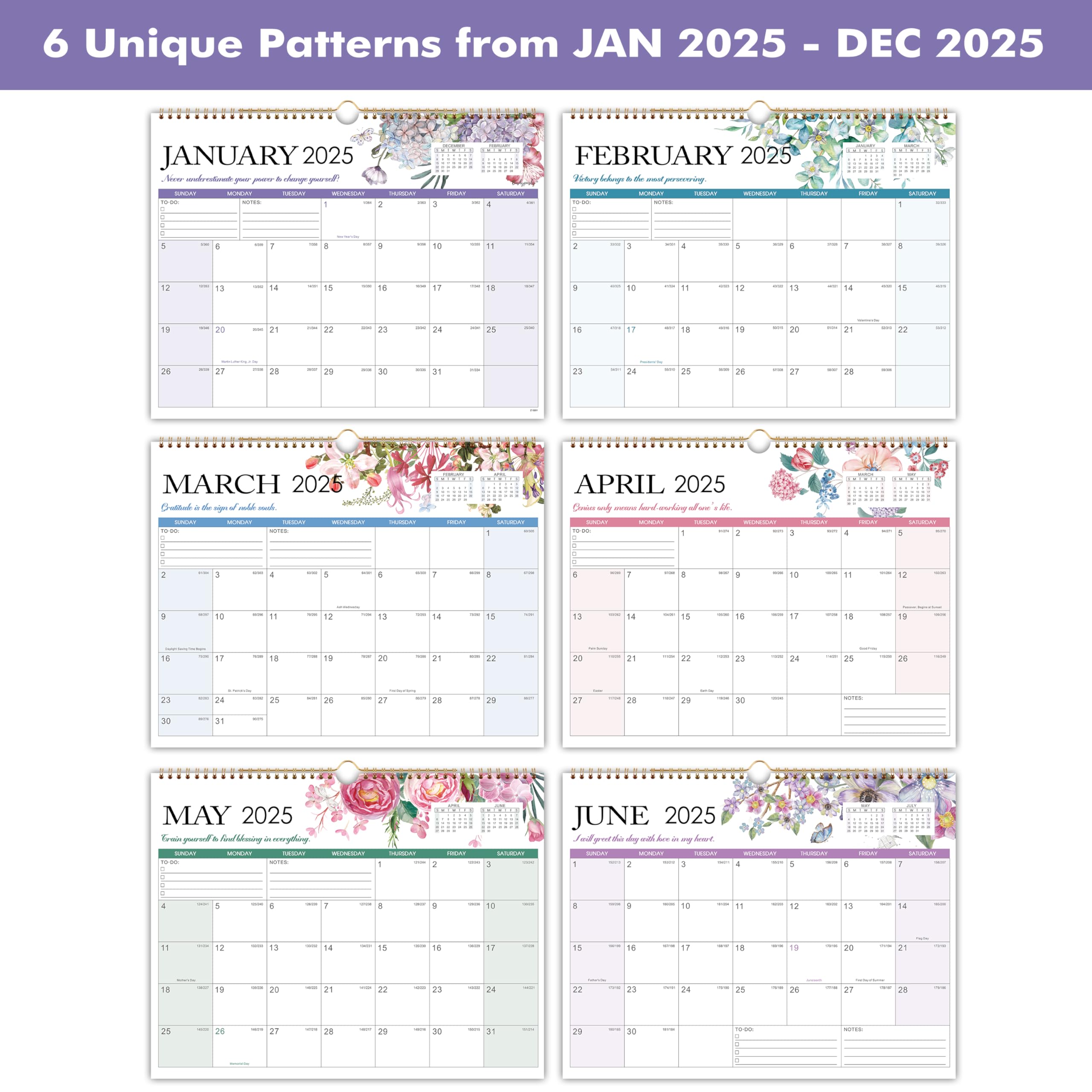 Snapklik.com : Calendar 2025 - Wall Calendar, JAN - DEC 2025, 11.4" 14. ...