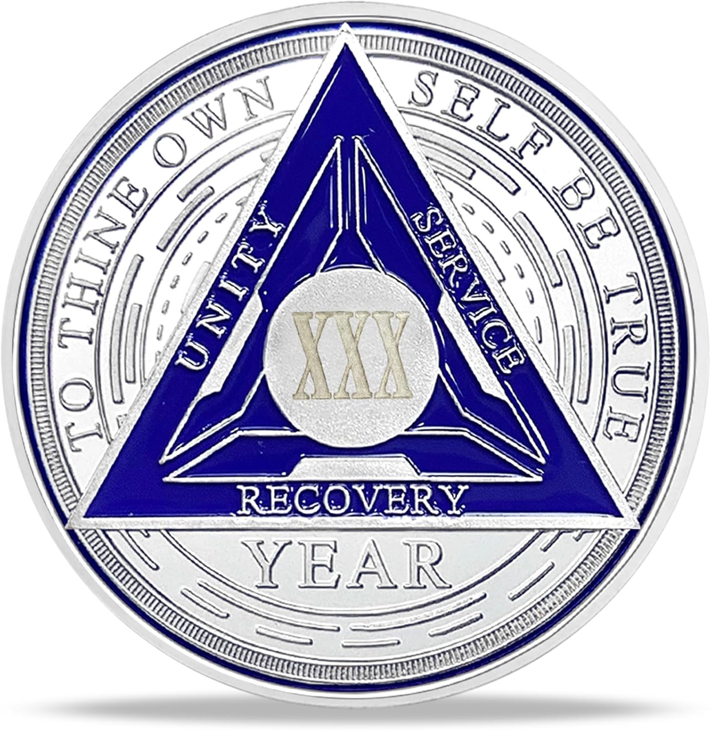 Amazon.com : 30 Year Sobriety Coin Alcoholics Anonymous Medallion ...