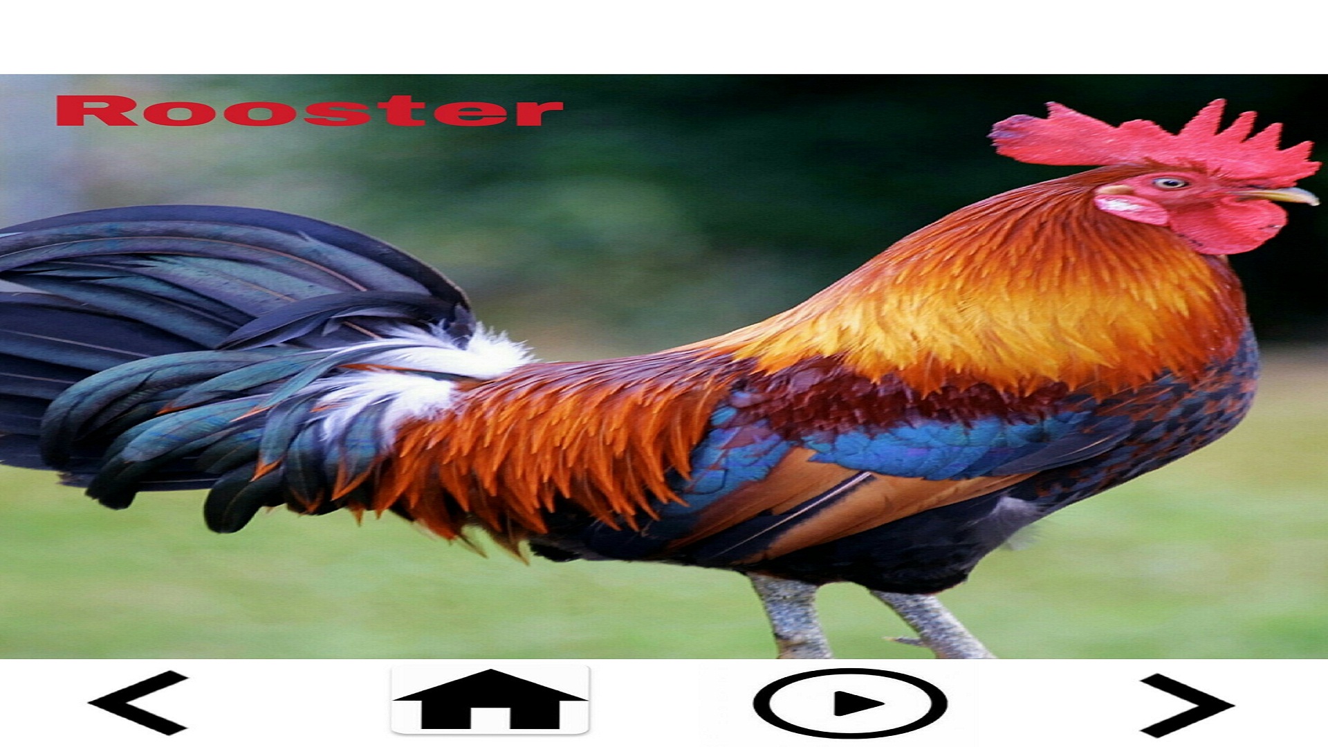 Preschool-Toddler Kids-Baby Educational Learning Games App: Learn All ...