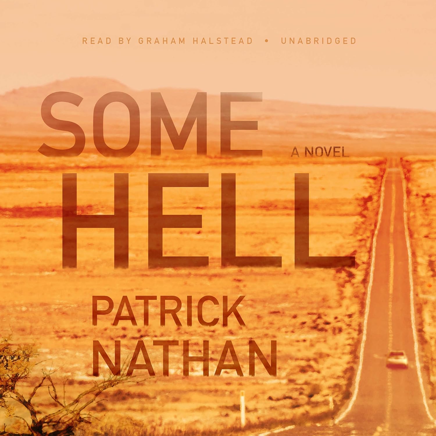Amazon.com: Some Hell: A Novel (Audible Audio Edition): Patrick Nathan ...
