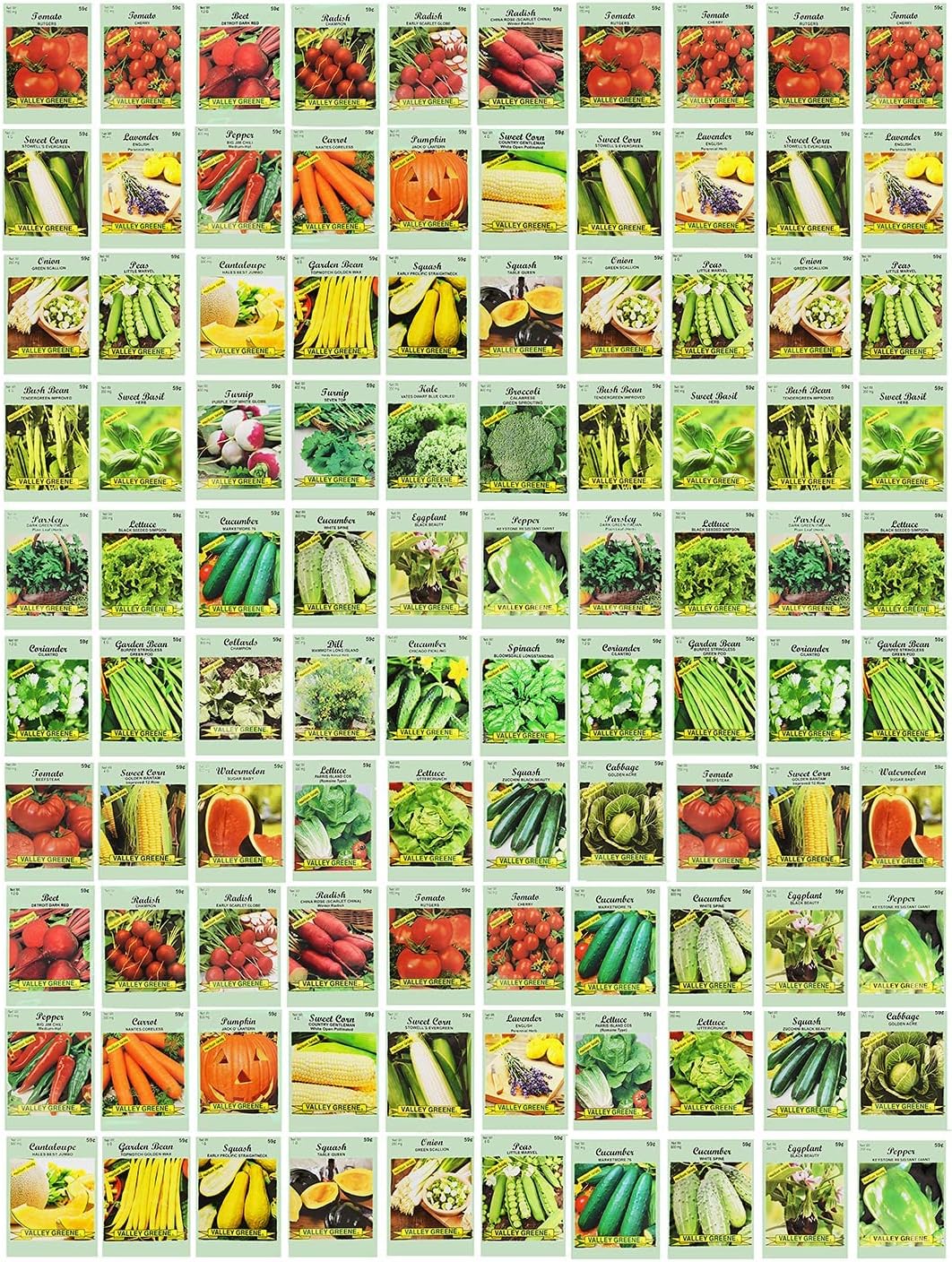 Amazon.com : 100 Assorted Heirloom Vegetable Seeds 100% Non-GMO (100 ...