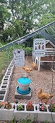 Amazon.com : Bestylez Welcome To Our Coop Funny Chicken Sign Chicken ...