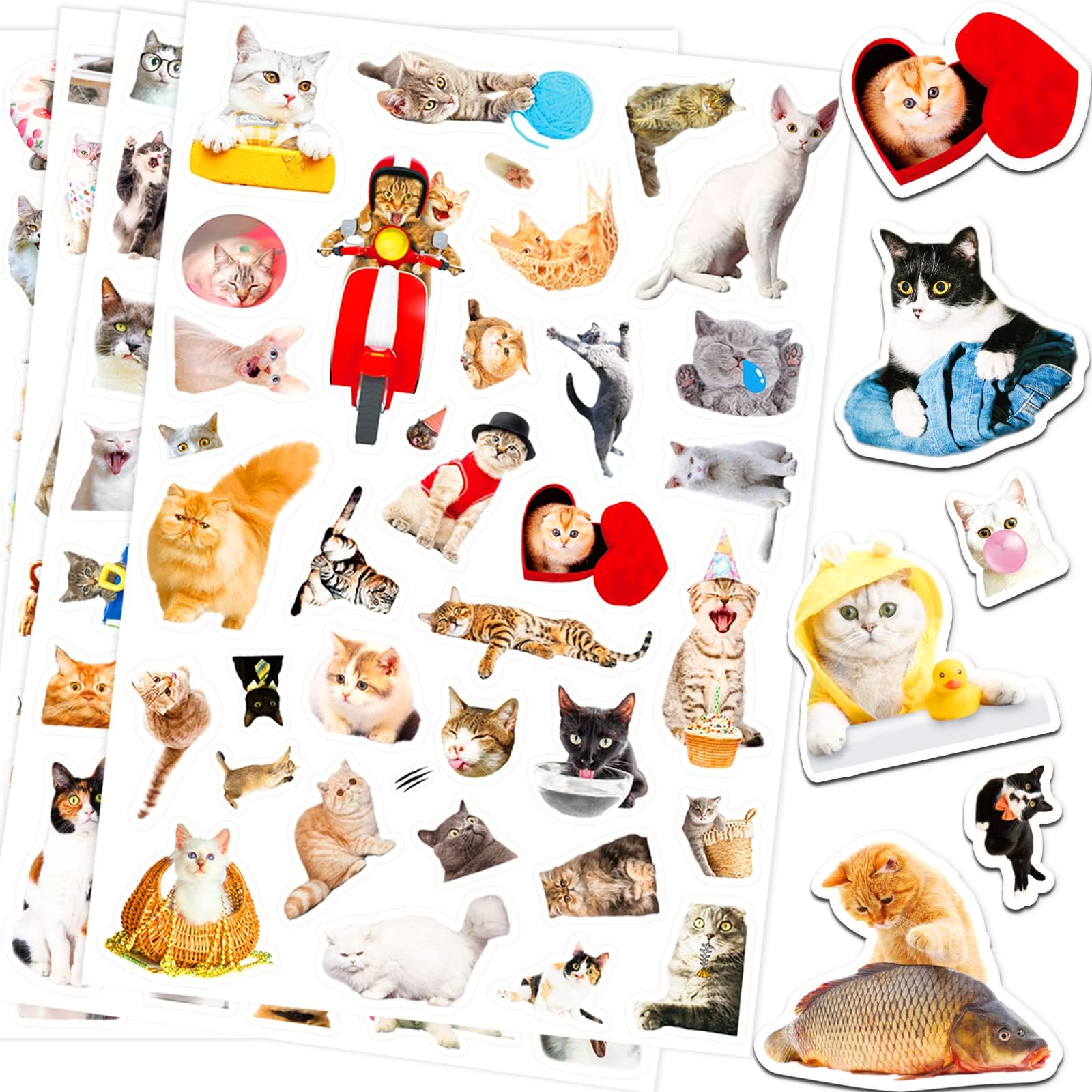 Amazon.com: Custom Face Stickers, Photo Stickers, Pet Stickers ...