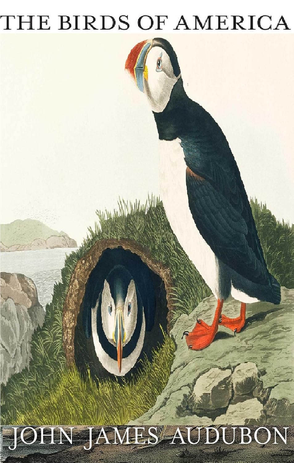 The Birds of America ( Illustrated ) - Kindle edition by Audubon, John ...