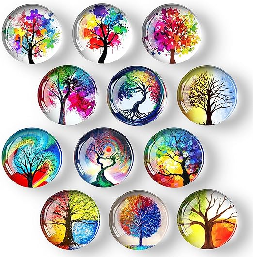 12Pcs Cute Glass Magnets for Fridge,Beautiful Locker Magnets ...