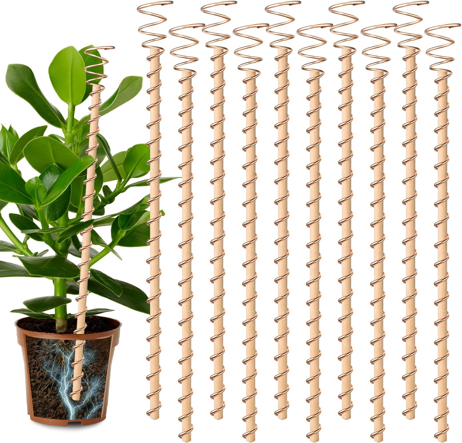 Amazon.com : Electroculture Grows 12" Electroculture Plant Stakes with ...