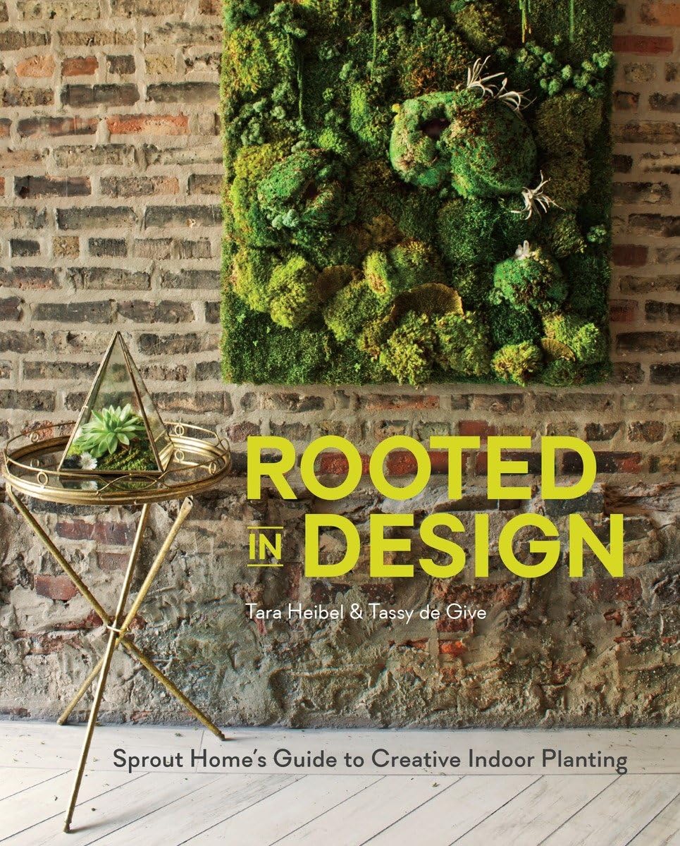 Rooted in Design: Sprout Home's Guide to Creative Indoor Planting ...