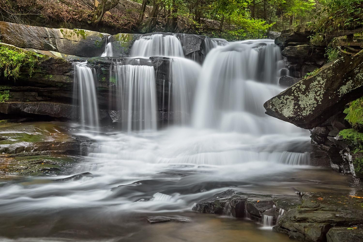 Amazon.com: Waterfall Mural #2 (16" H x 24" W FABRIC) : Tools & Home ...