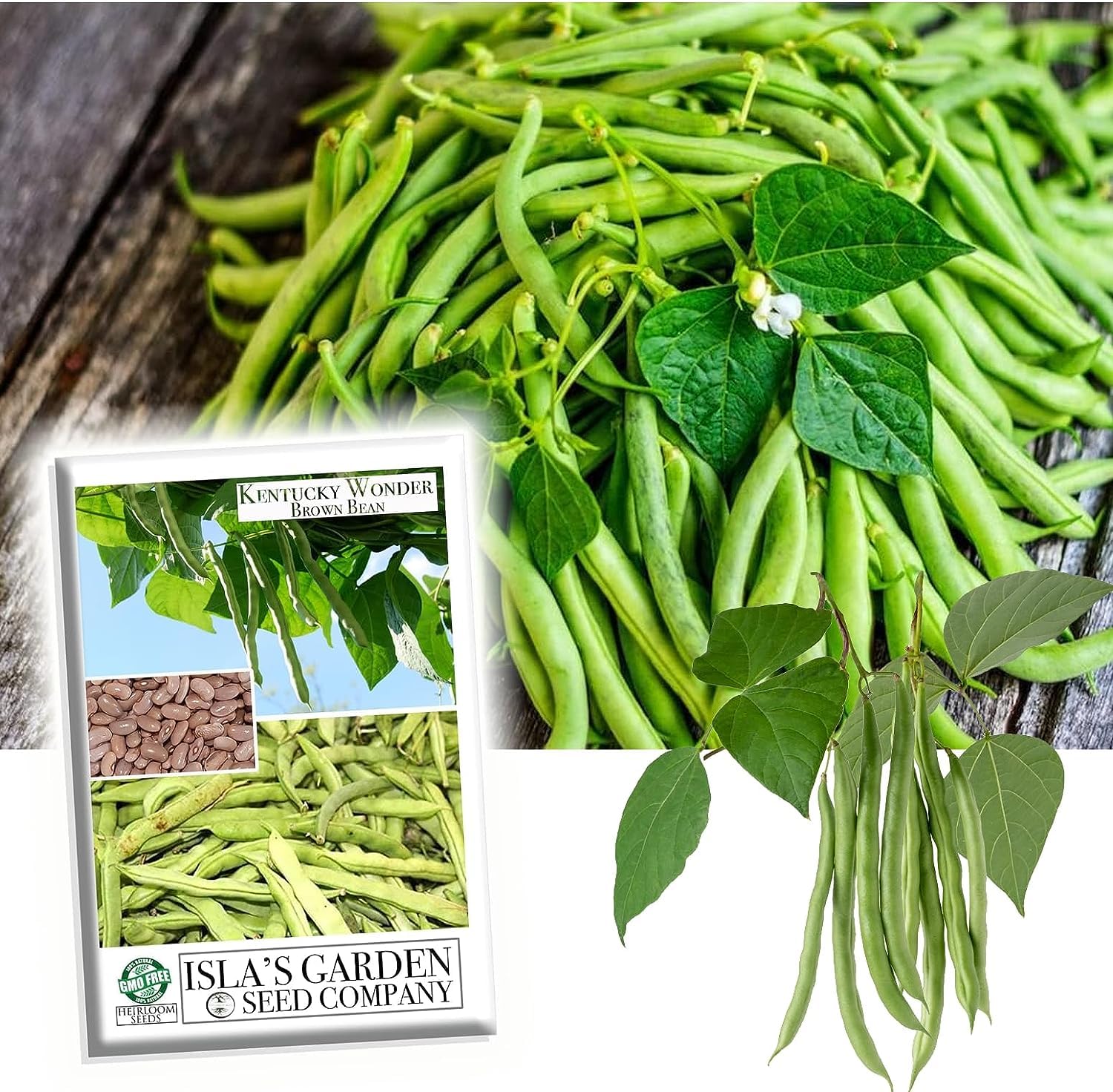 Wonder Bean Feisteas Nua Pole Bean Seeds Trellis Beans | Urban