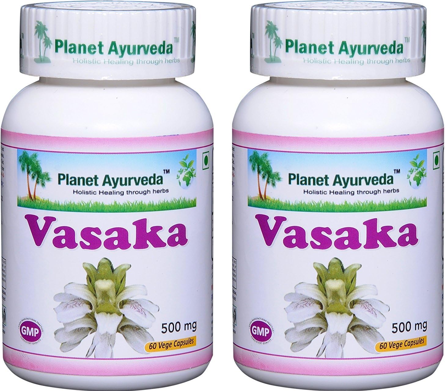 Amazon.com: Vasaka - 2 Bottles (Each 60 Capsules, 500mg) - Planet ...