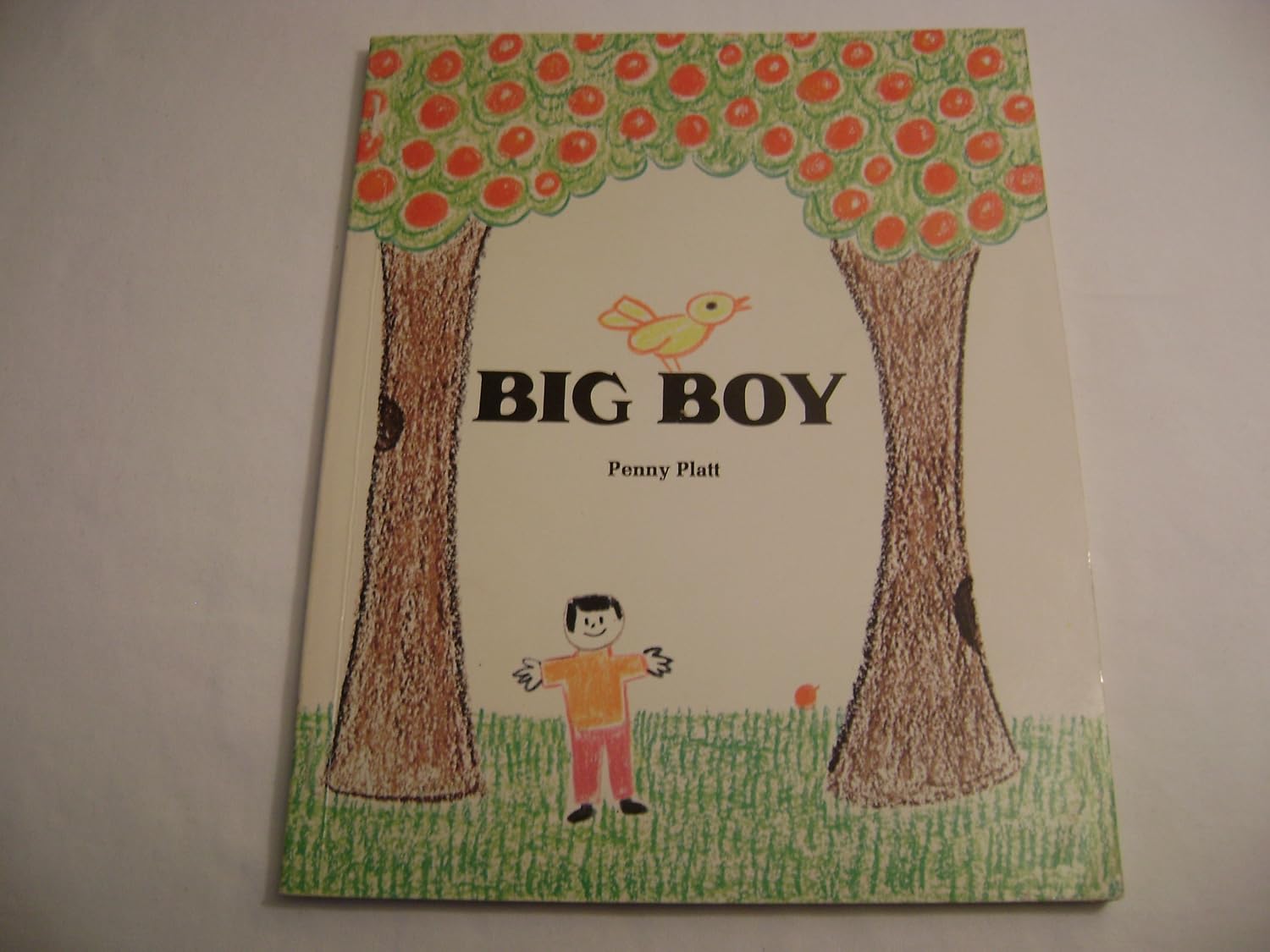 Big Boy : Platt, Penny: Amazon.in: Books
