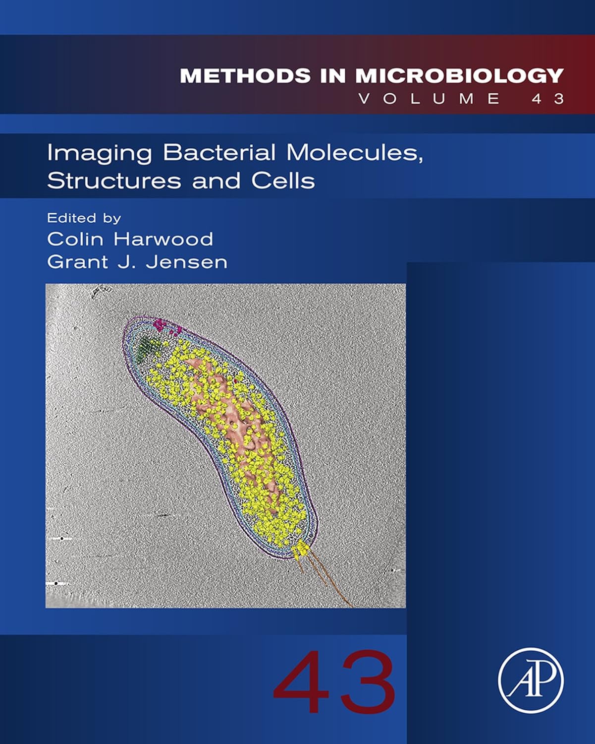 Imaging Bacterial Molecules, Structures and Cells (ISSN Book 43) eBook ...