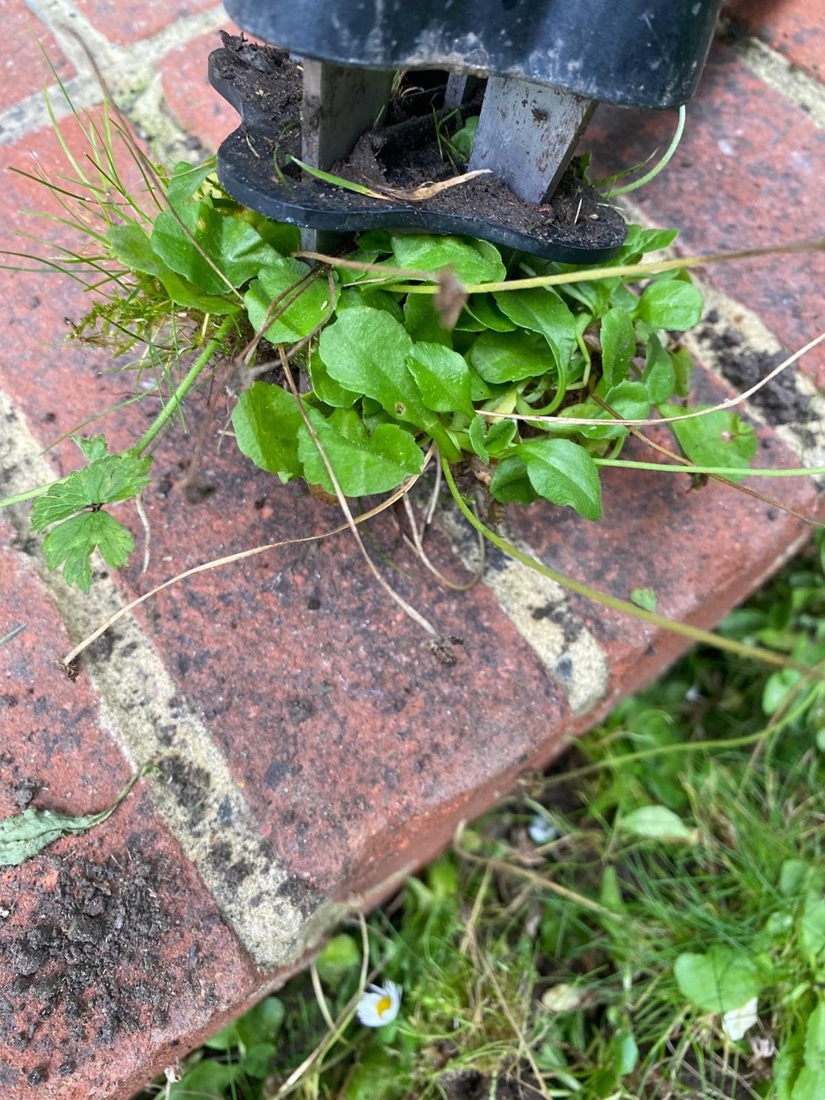 Fiskars Solid Weed Puller Black,1026652 : Amazon.co.uk: Garden