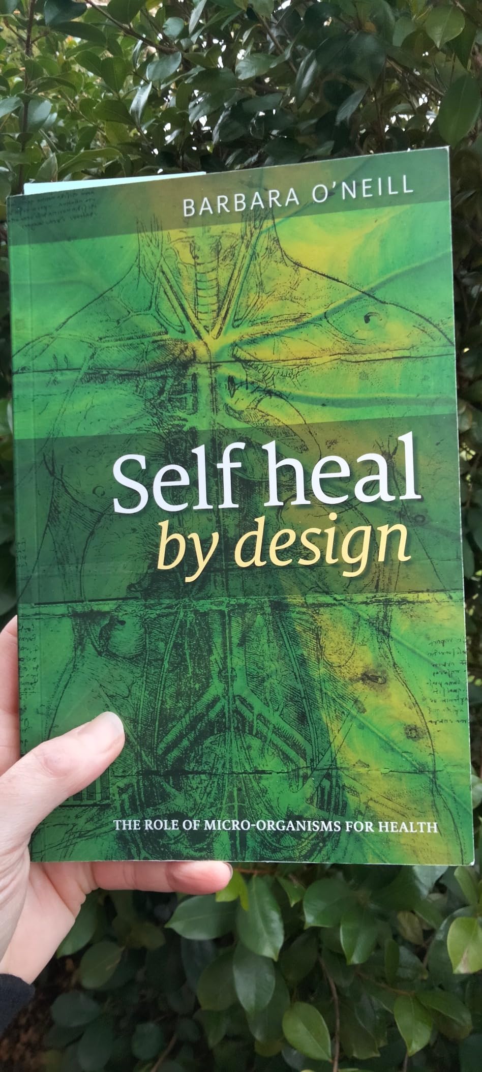 Self Heal By Design- The Role Of Micro-Organisms For Health By Barbara ...
