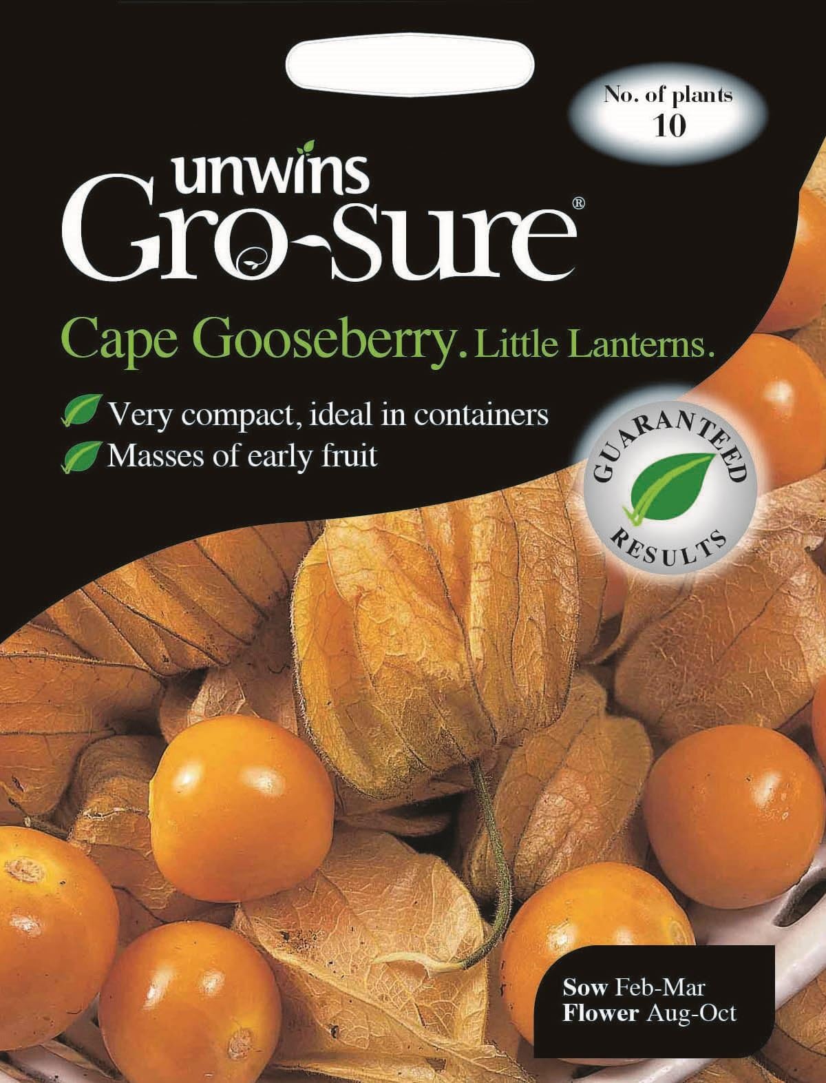Cape Gooseberry - Giant - Physalis Peruviana - 100 Seeds : Amazon.co.uk ...