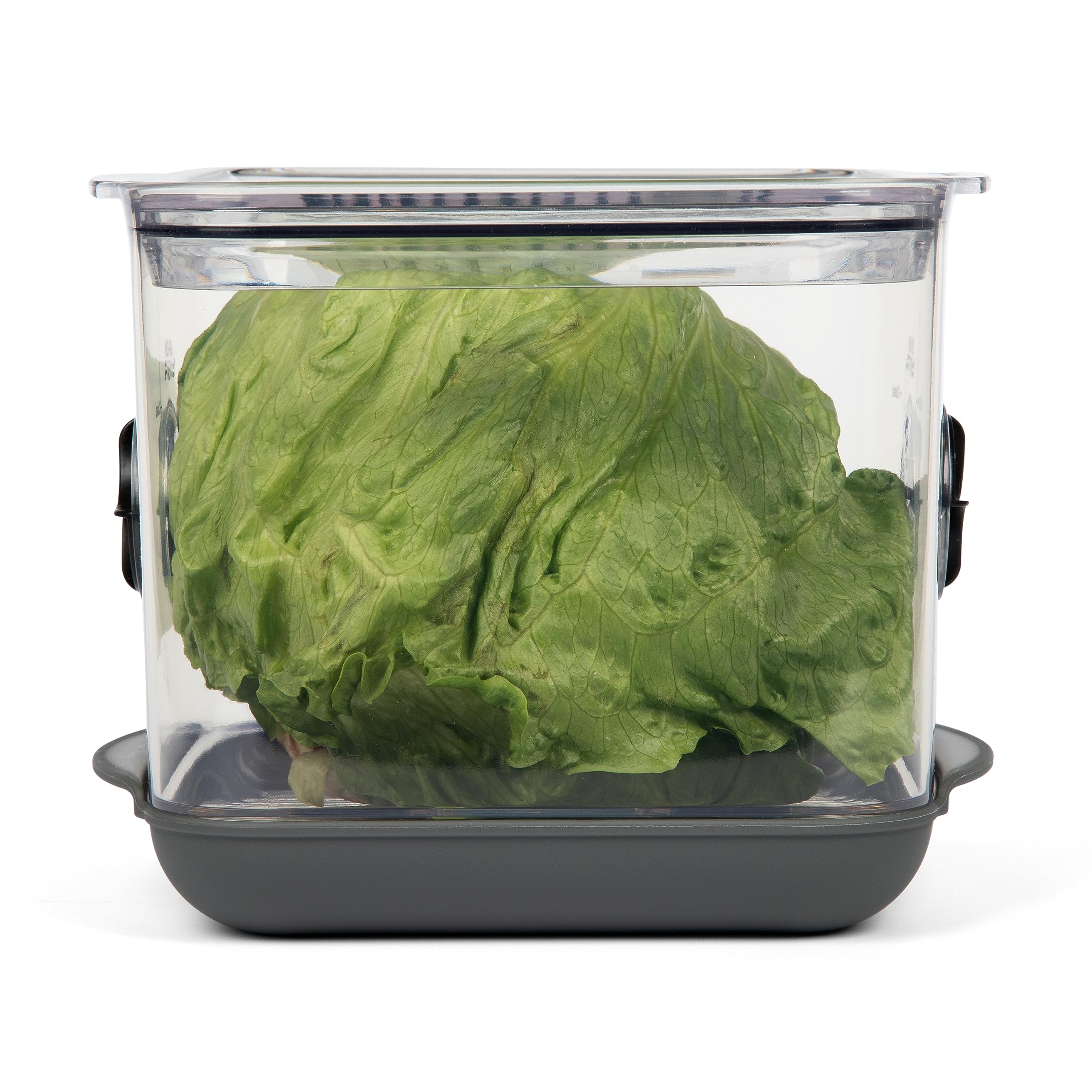 Snapklik.com : ProKeeper+ By Progressive Stackable Produce ProKeeper ...