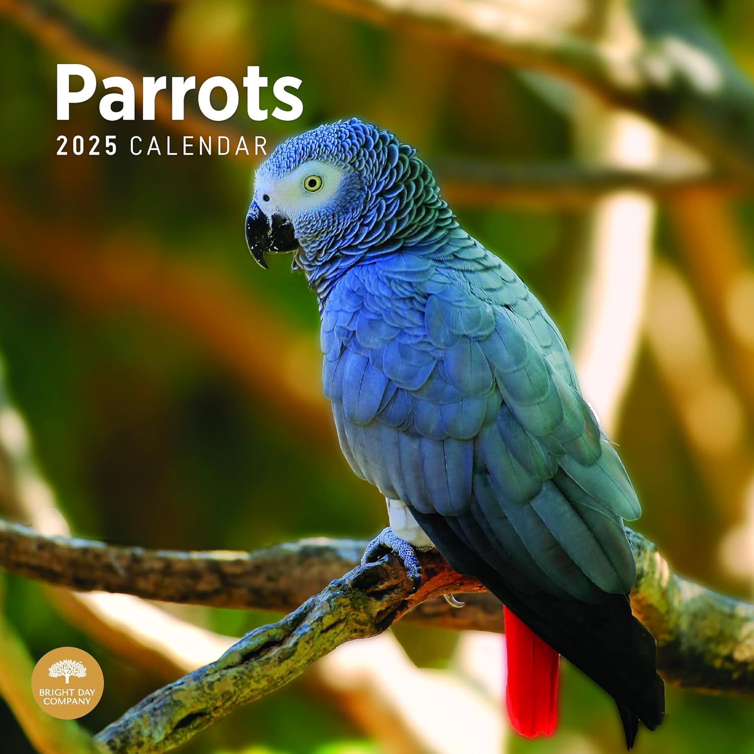 2025 Parrots Monthly Wall Calendar by Bright Day, 12 x 12 Inch Cute ...