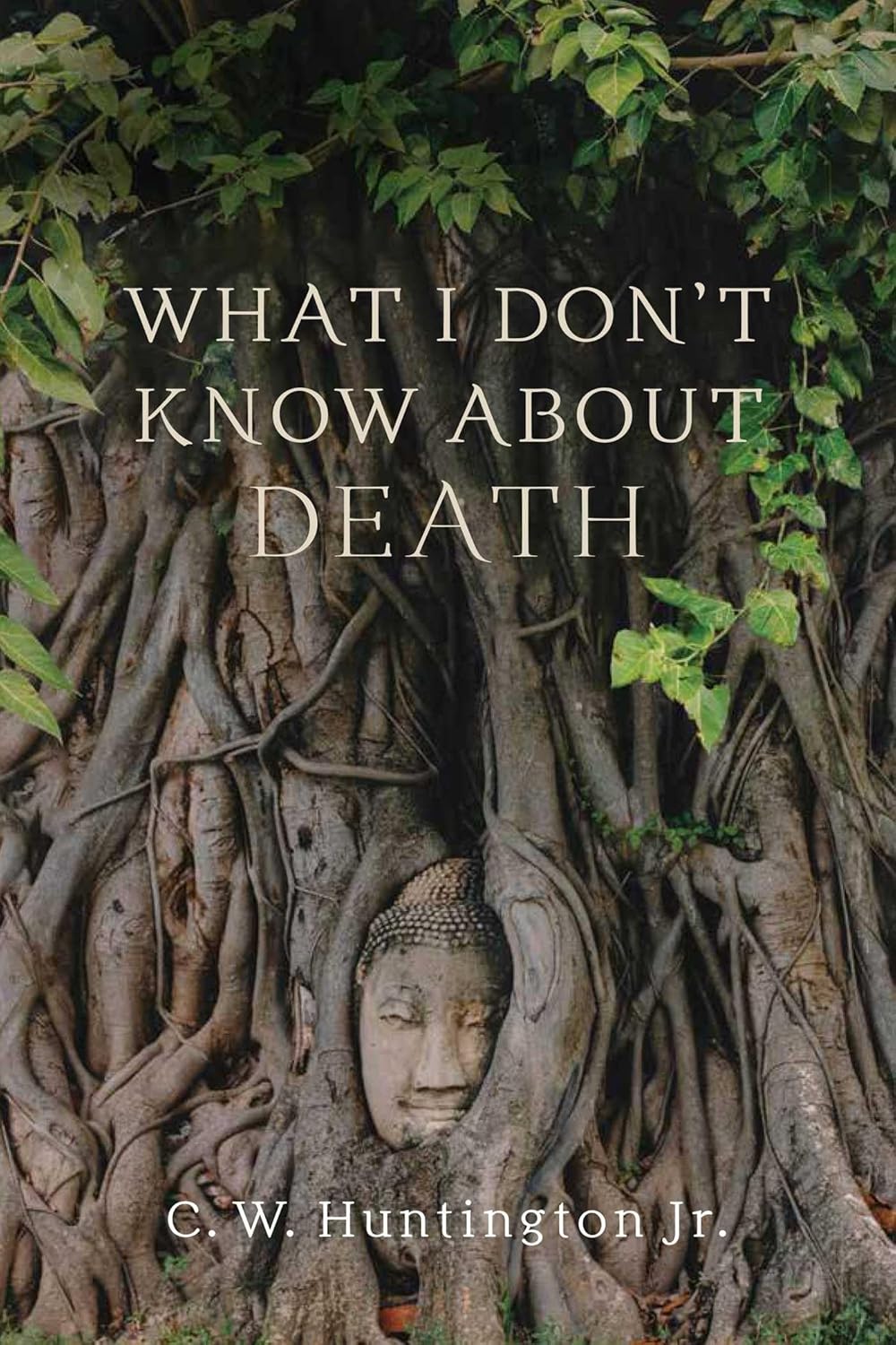 What I Don't Know about Death: Reflections on Buddhism and Mortality ...